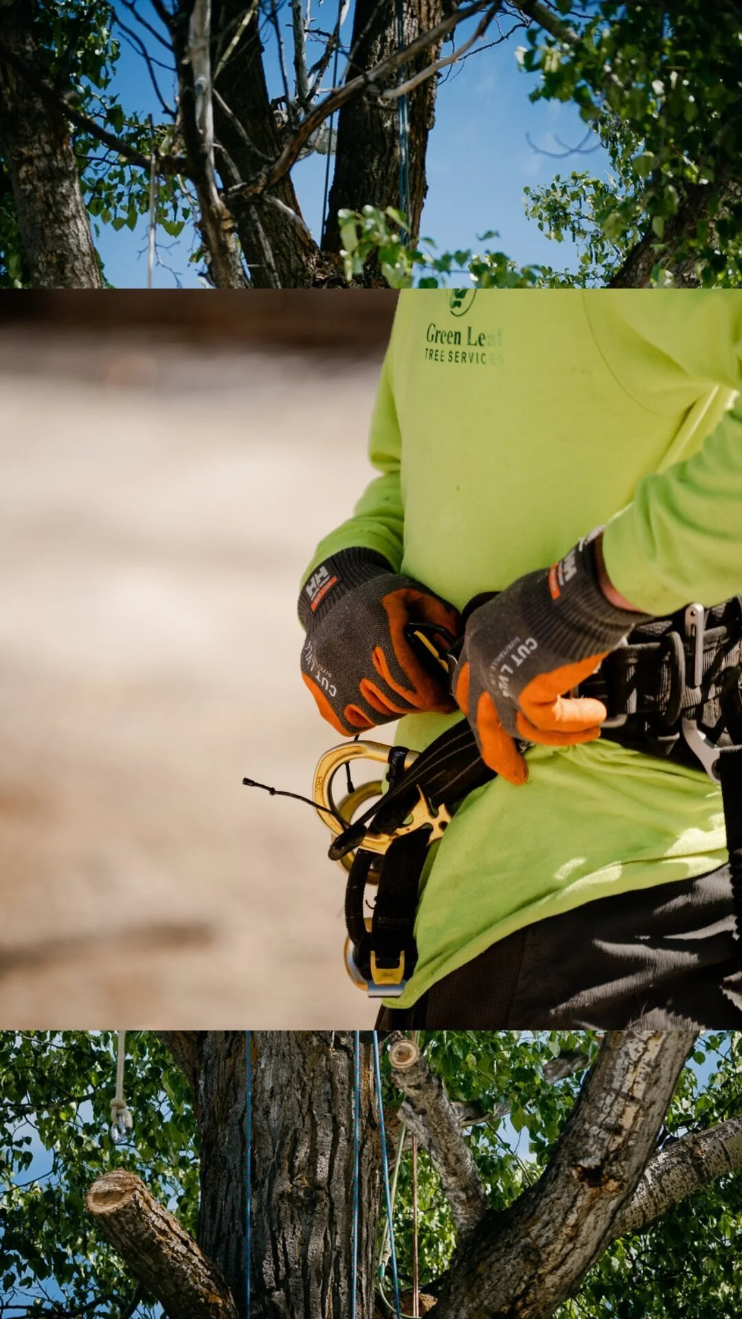 Reviews — Green Leaf Tree Services Ltd