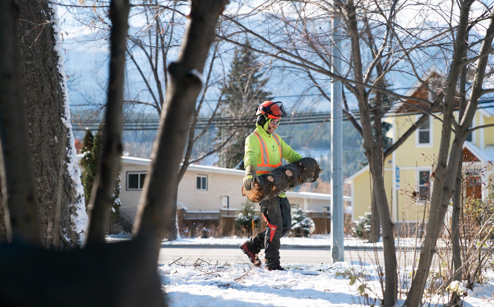 Green Leaf Tree Services Ltd — Tree Services and Tree Care in Golden ...