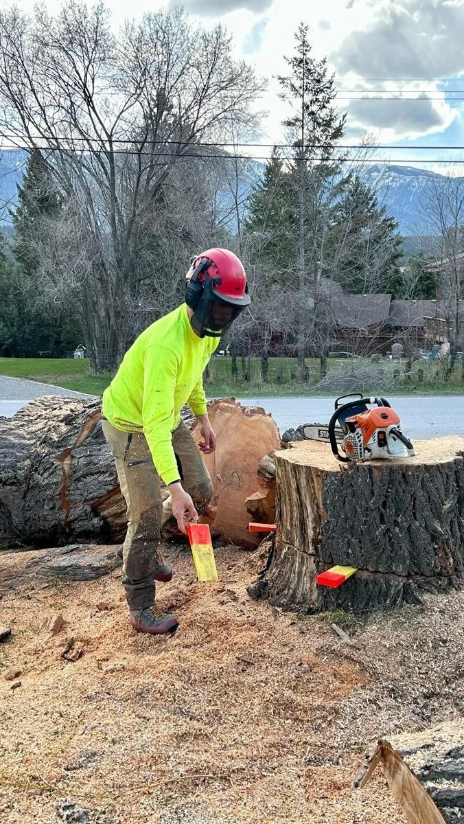 Cranbrook & Kimberley Tree Service — Green Leaf Tree Services Ltd