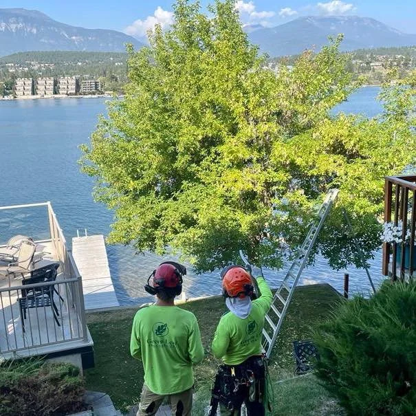 Cranbrook & Kimberley Tree Service — Green Leaf Tree Services Ltd