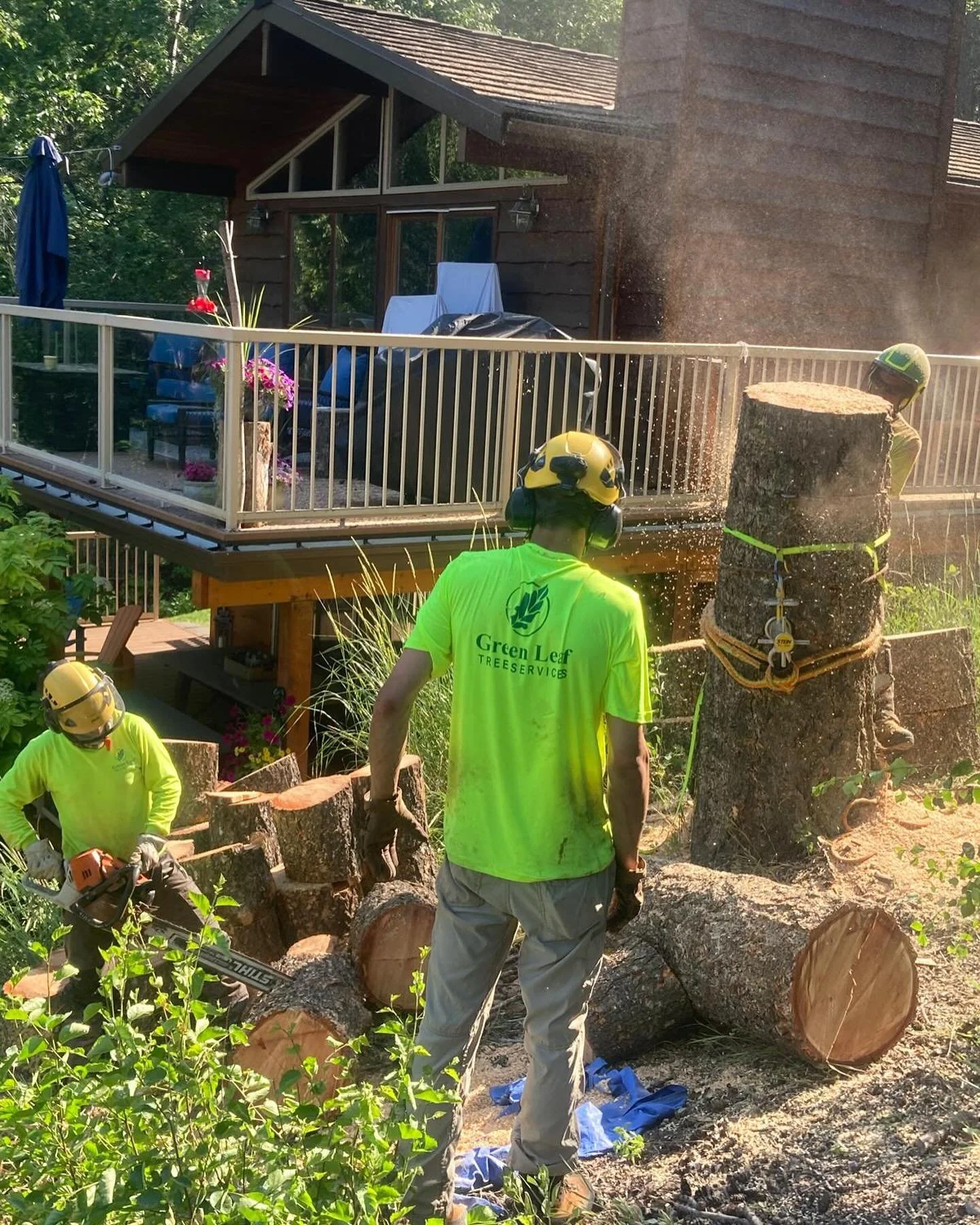 Green Leaf Tree Services Ltd — Tree Services and Tree Care in Golden ...