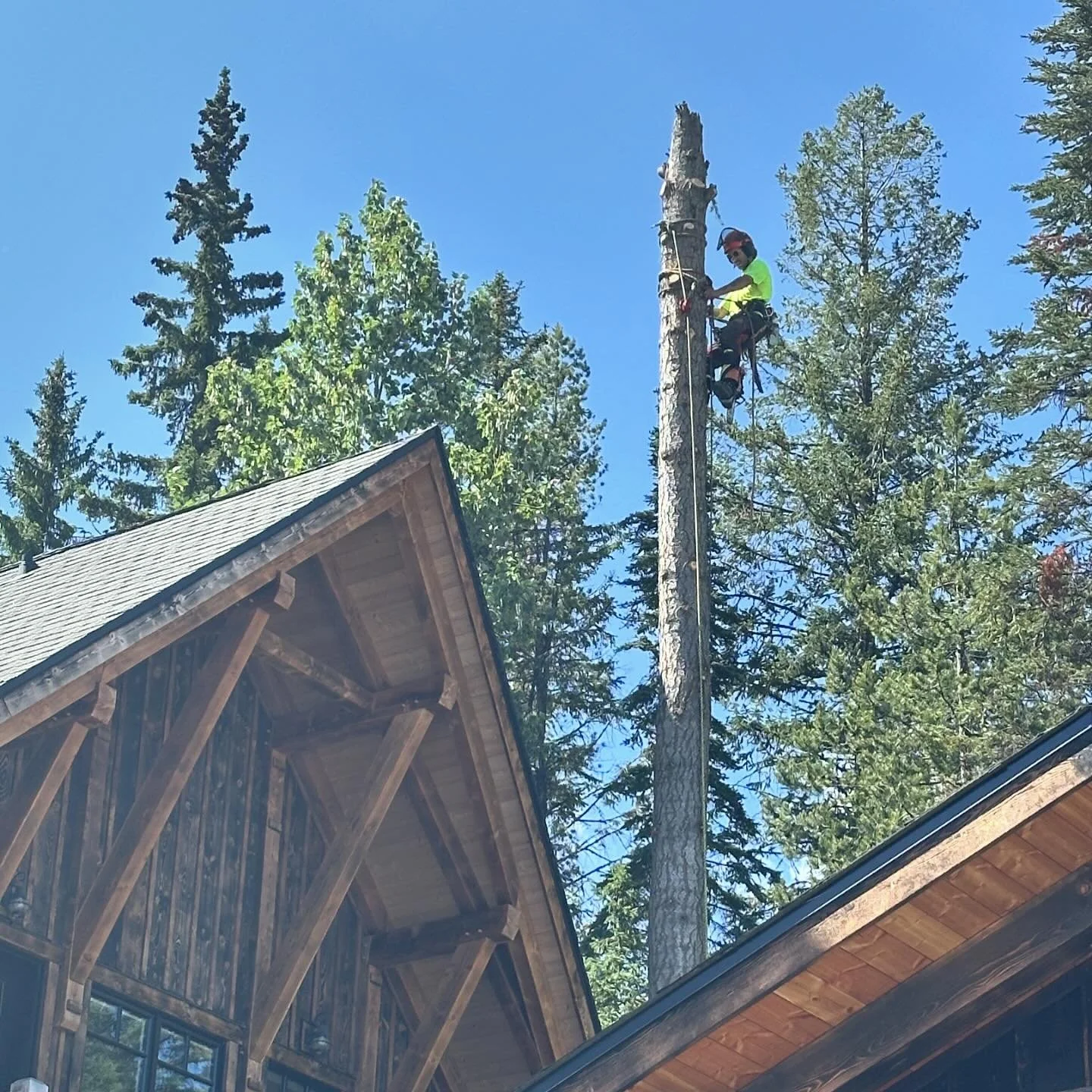 Cranbrook & Kimberley Tree Service — Green Leaf Tree Services Ltd