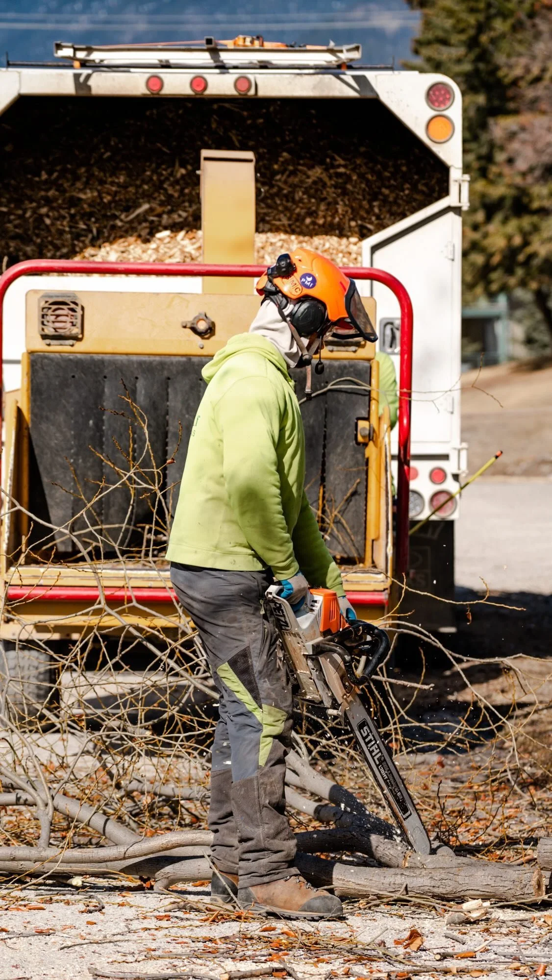 Green Leaf Tree Services Ltd — Tree Services and Tree Care in Golden ...