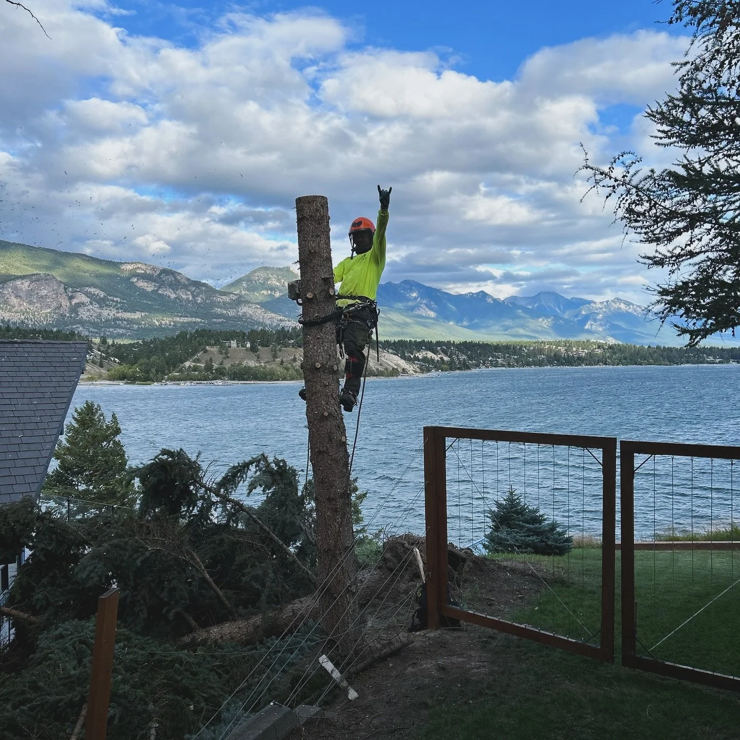 Green Leaf Tree Services Ltd — Tree Services and Tree Care in Golden ...