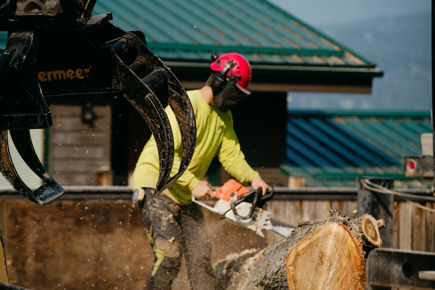 Cranbrook & Kimberley Tree Service — Green Leaf Tree Services Ltd