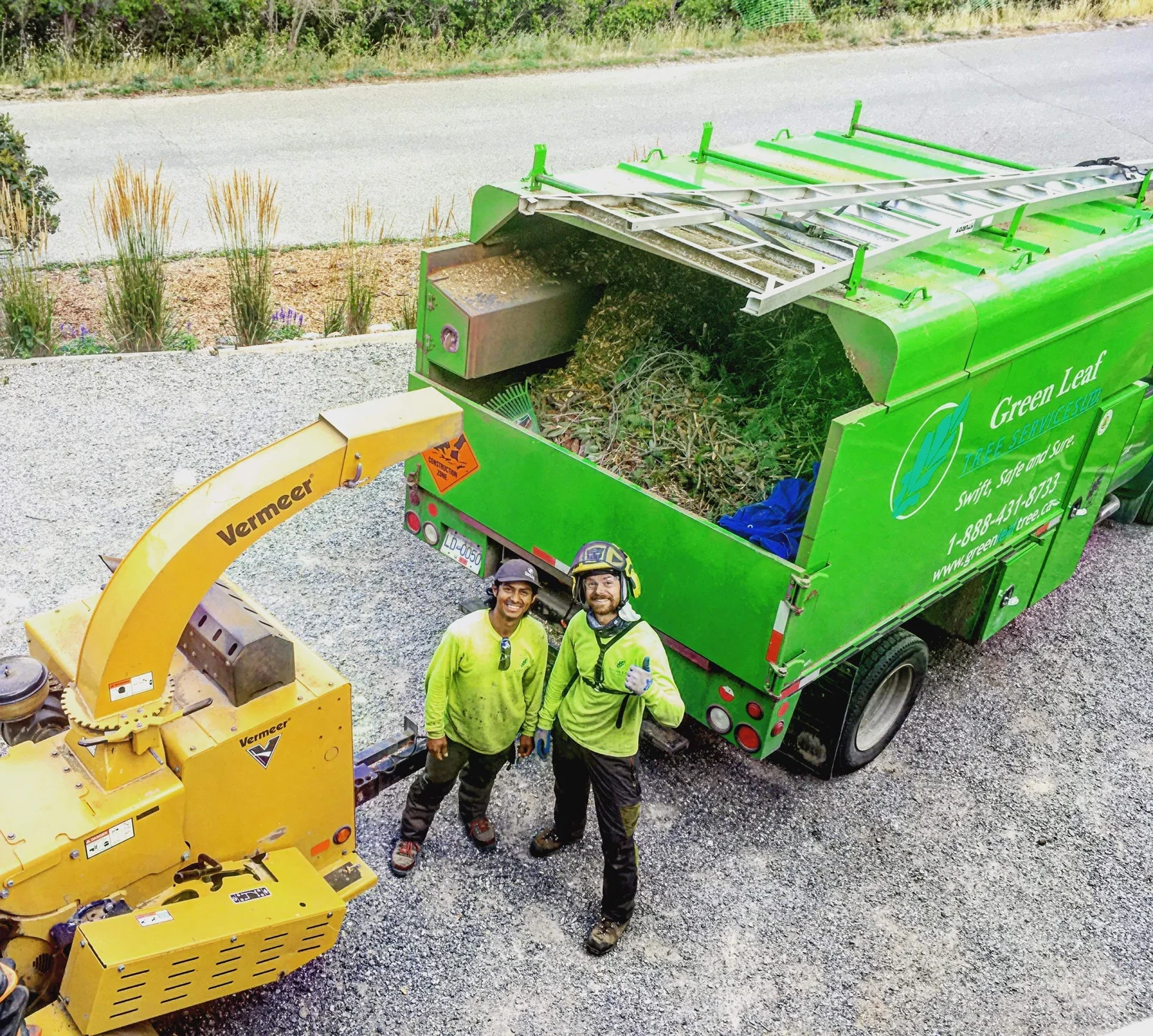 Green Leaf Tree Services Ltd — Tree Services and Tree Care in Golden ...