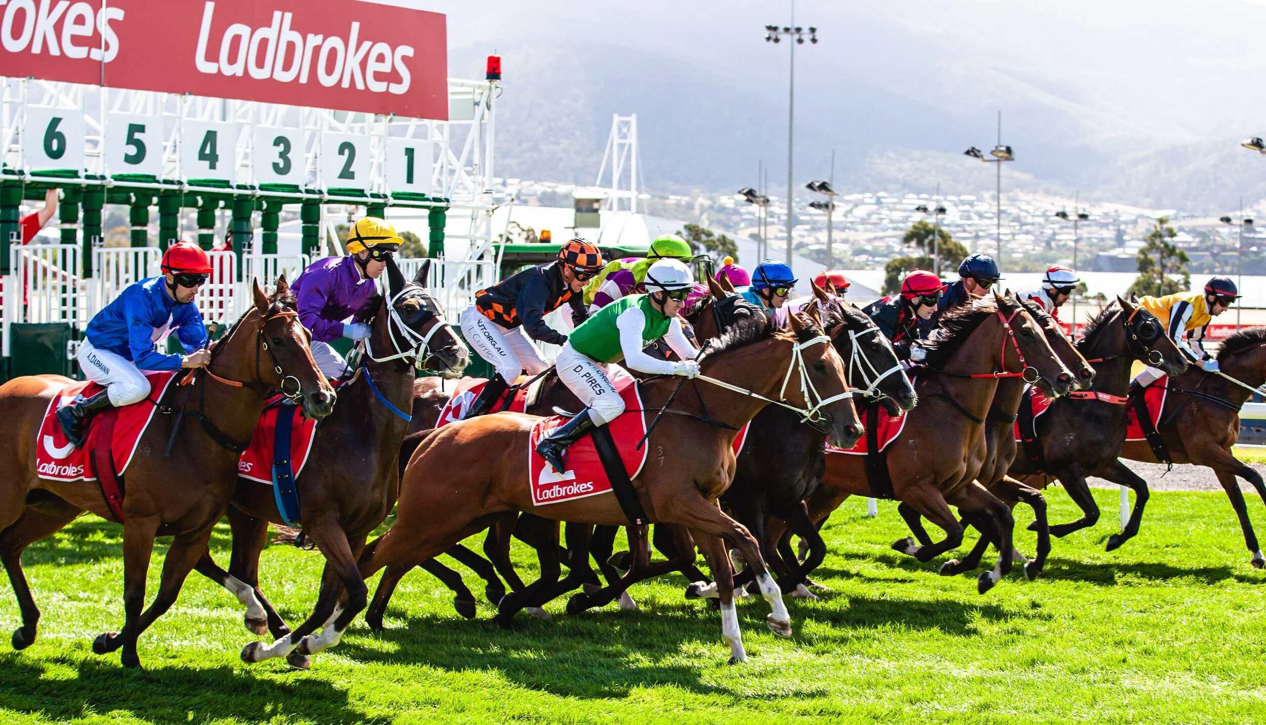 CONQUERING BAR — Tasmanian Racing Club