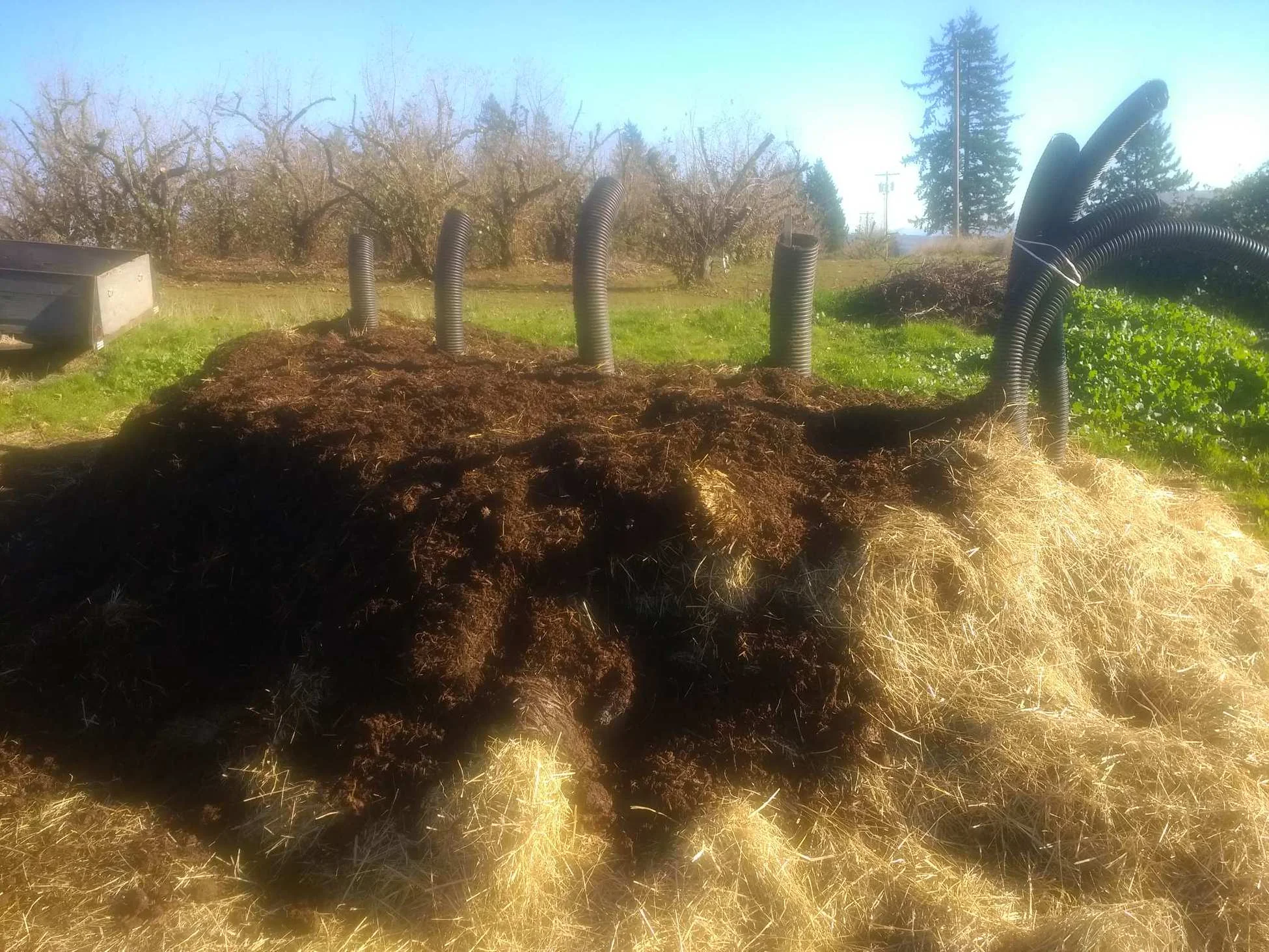 Biodynamic compost pile — Cramoisi Vineyard