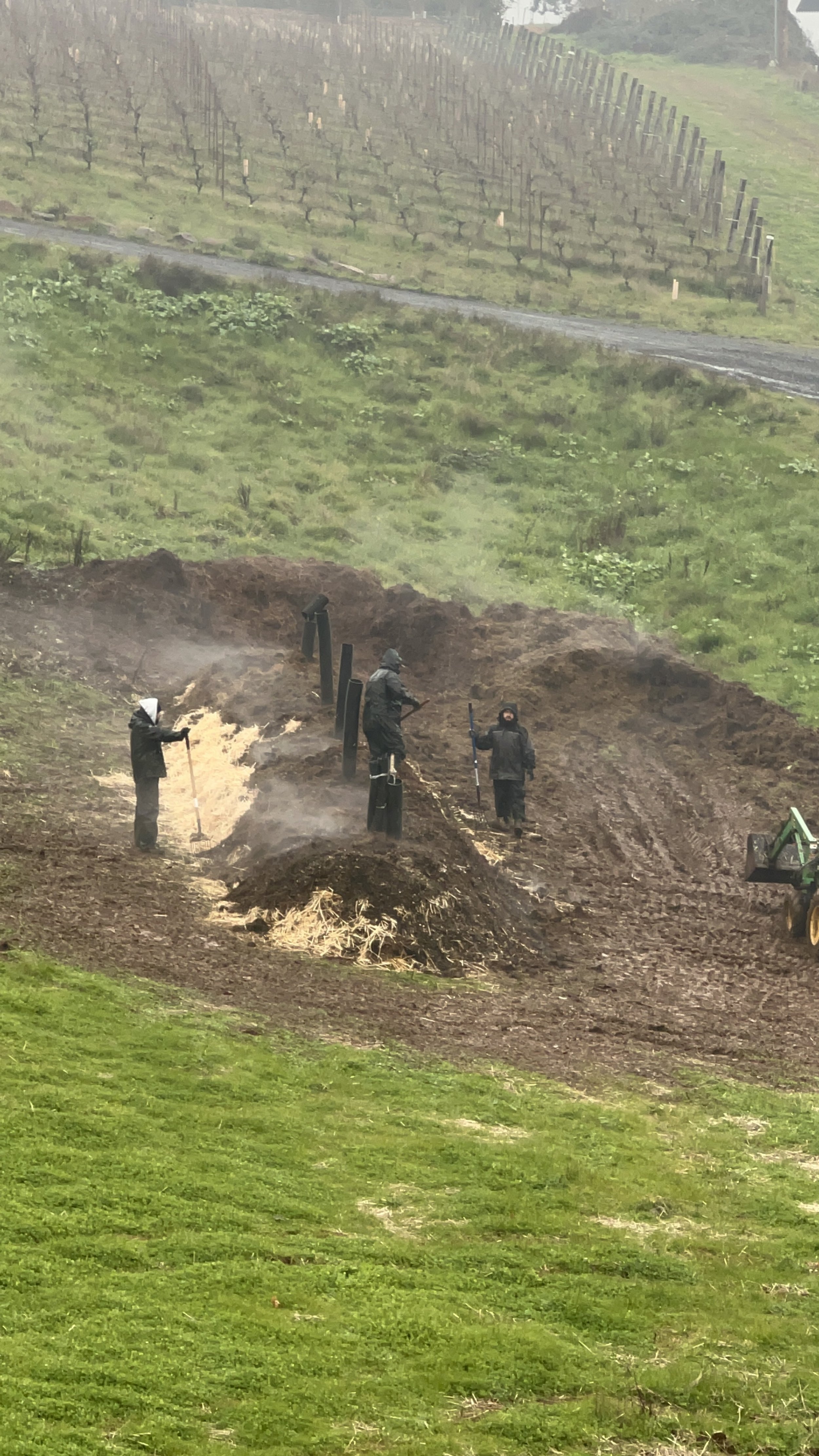 Vineyard — Cramoisi Vineyard