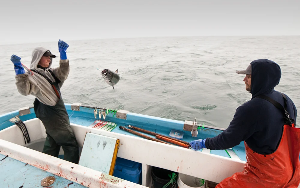 Salmon Trolling on the North Coast of British Columbia — BC Salmon