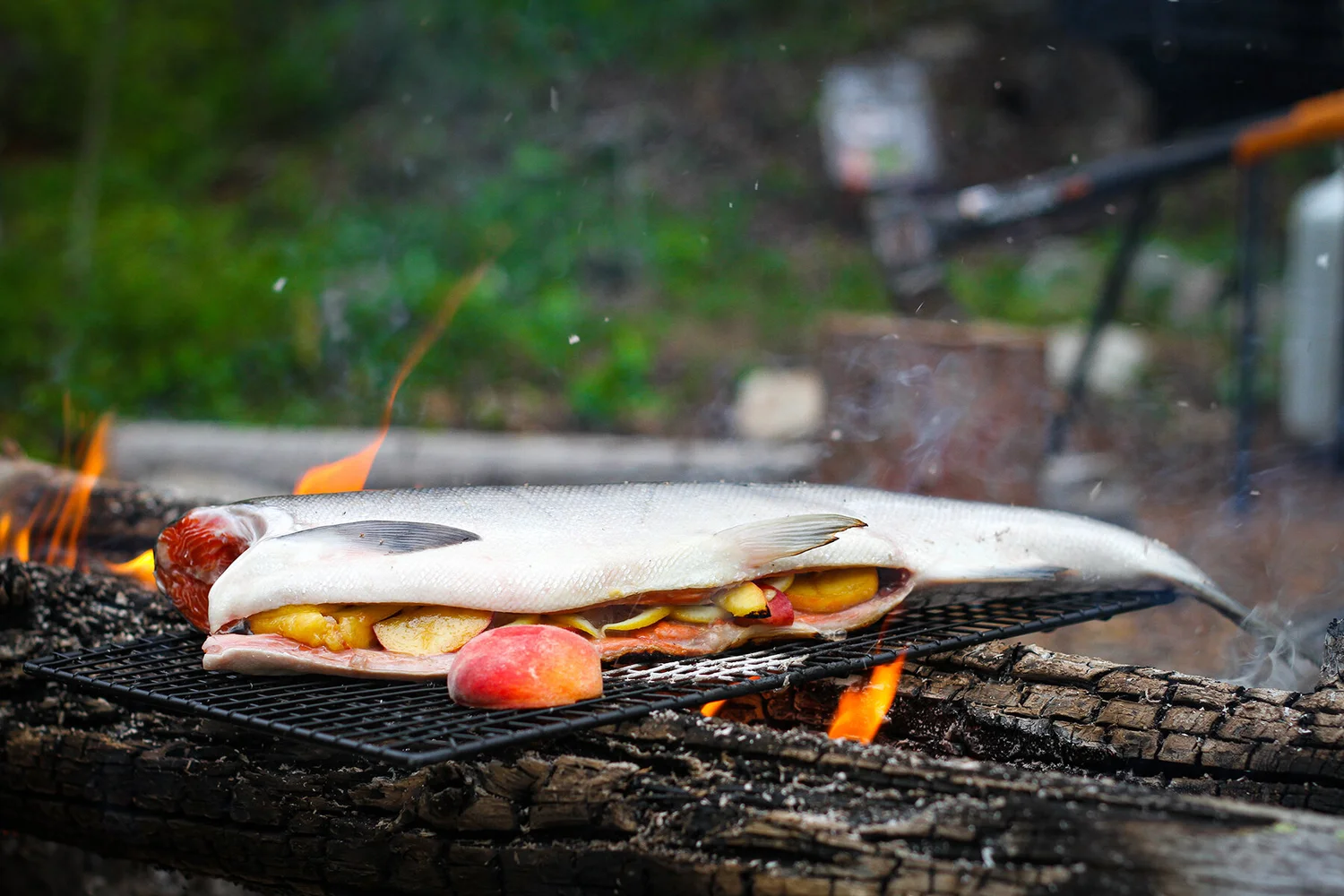 Fire Roasted Whole Wild Sockeye Salmon and Peach Salsa — BC Salmon