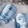 Boston Beer’s Samuel Adams Cold Snap proclaims they are the official ...