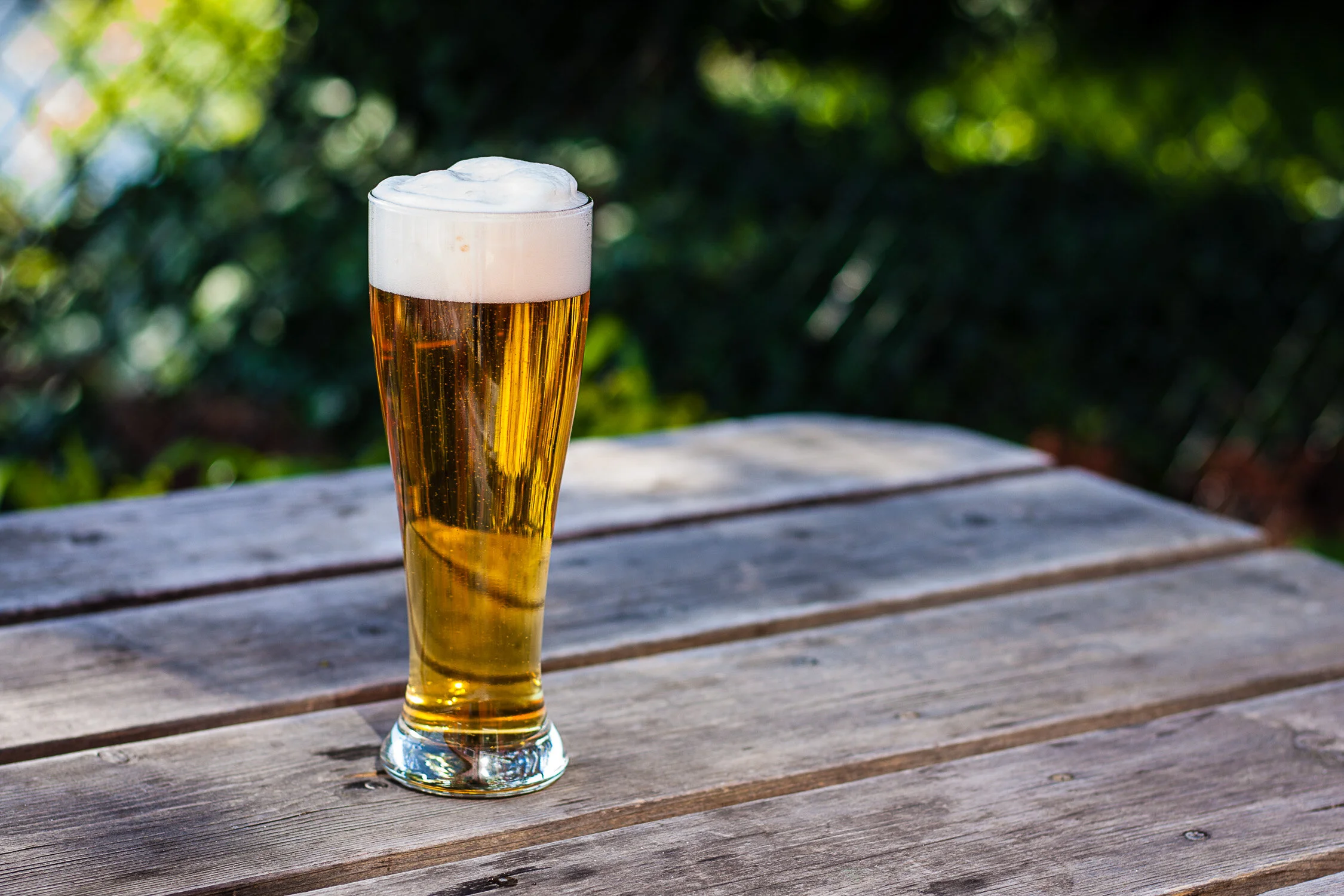 Utilizing tropical flavors and aromas from Strata hops, Chuckanut ...