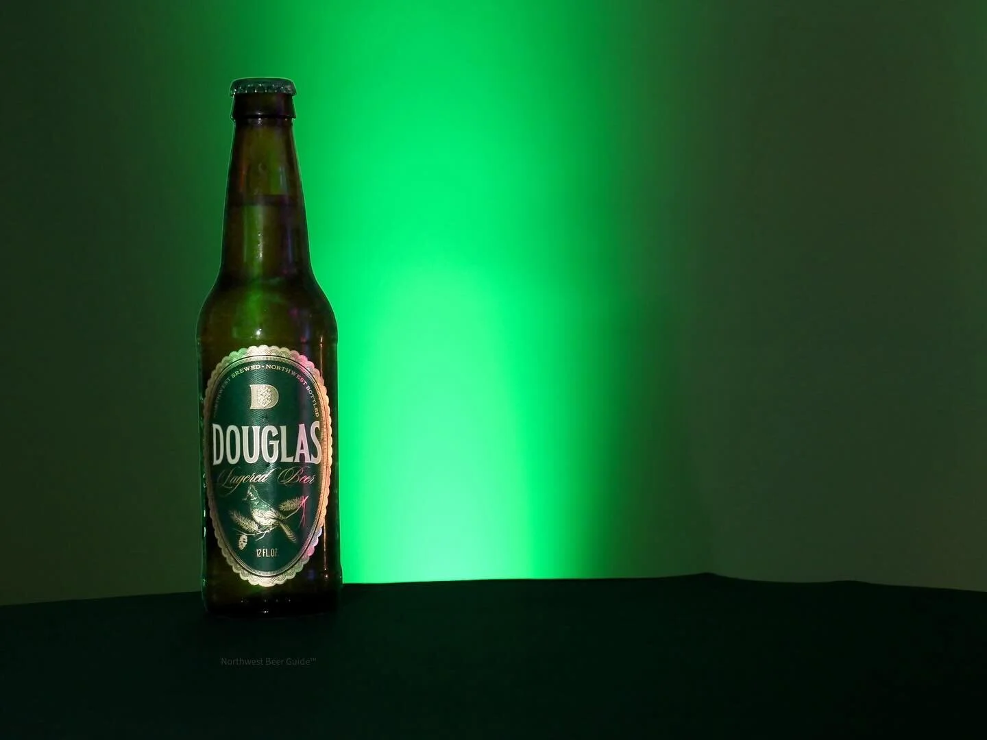 The Northwest Beer Guide