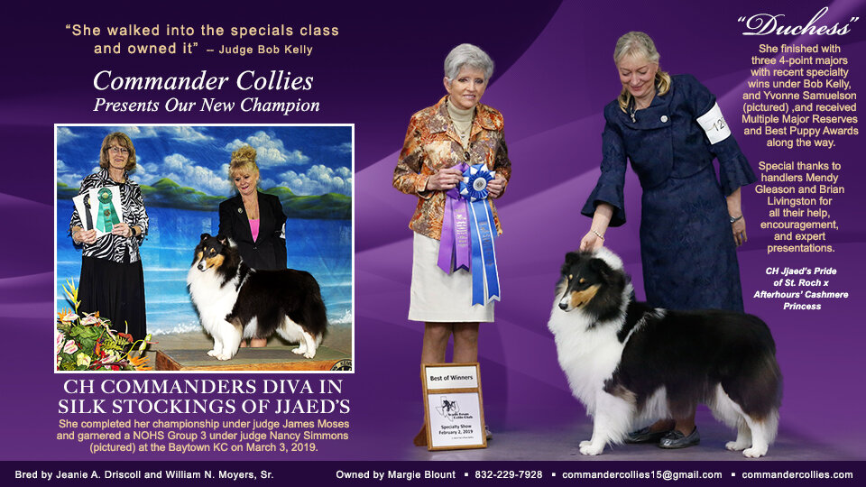 Commander Collies