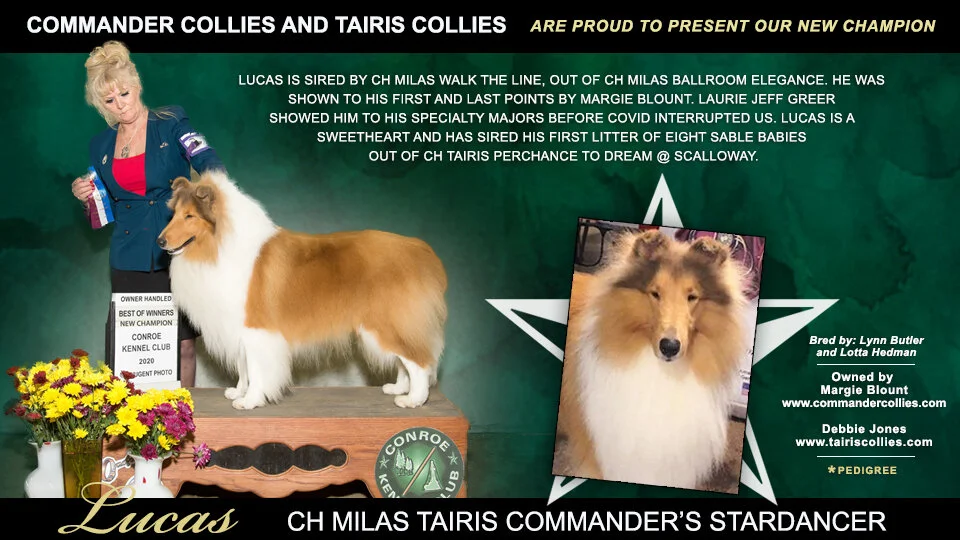 Commander Collies