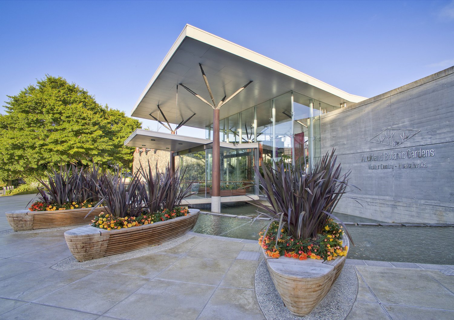 Botanical Art Worldwide - New Zealand — Botanical Art Worldwide