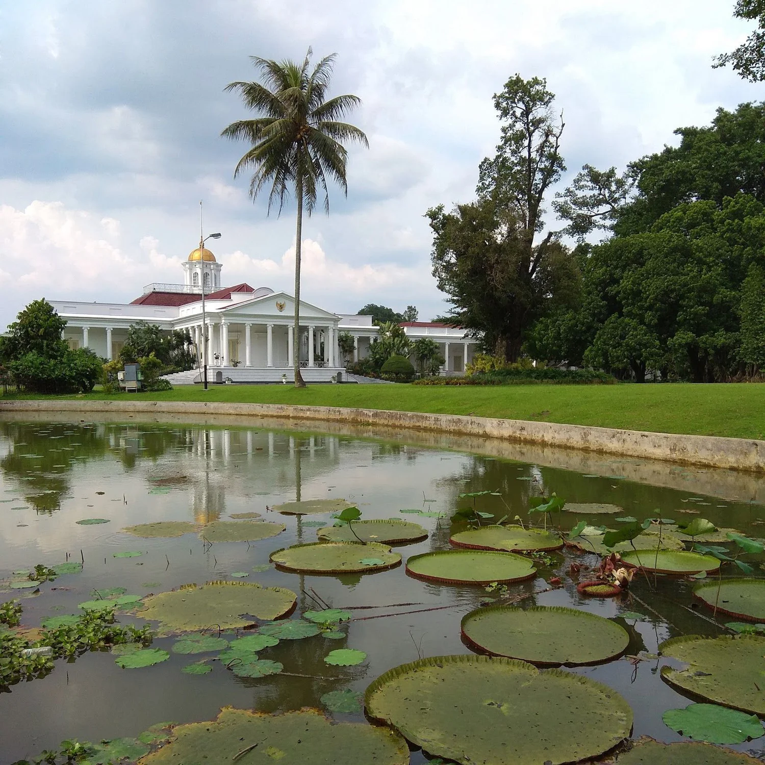 Indonesia — Botanical Art Worldwide