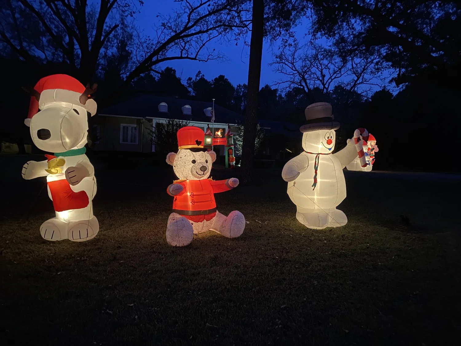 Canton Christmas Festival — Canton Tourism