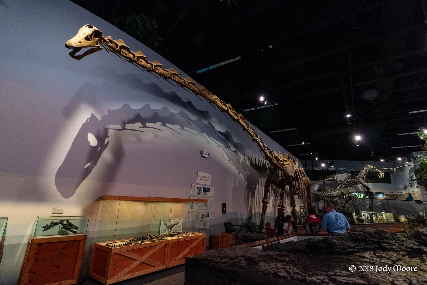 Supersaurus Skeleton