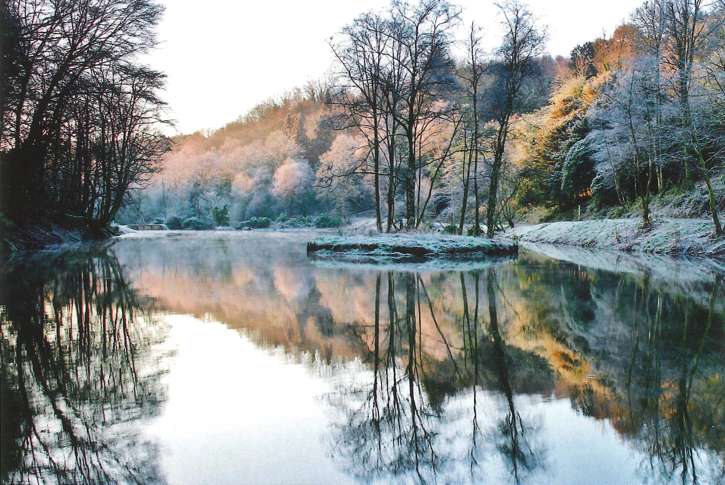 PENLLERGARE VALLEY WOODS — landscapefoundation