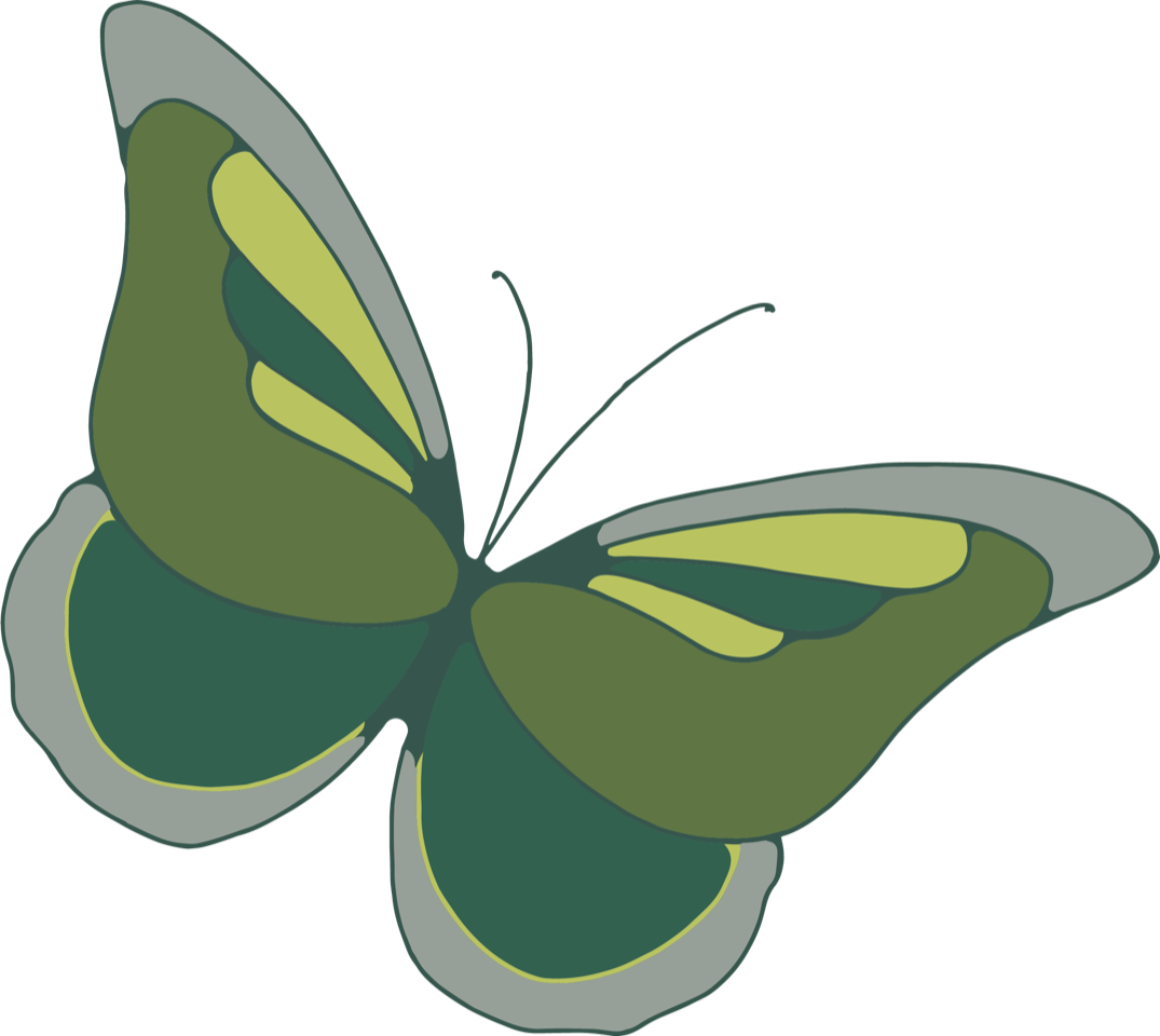 Green Butterfly Cartoon
