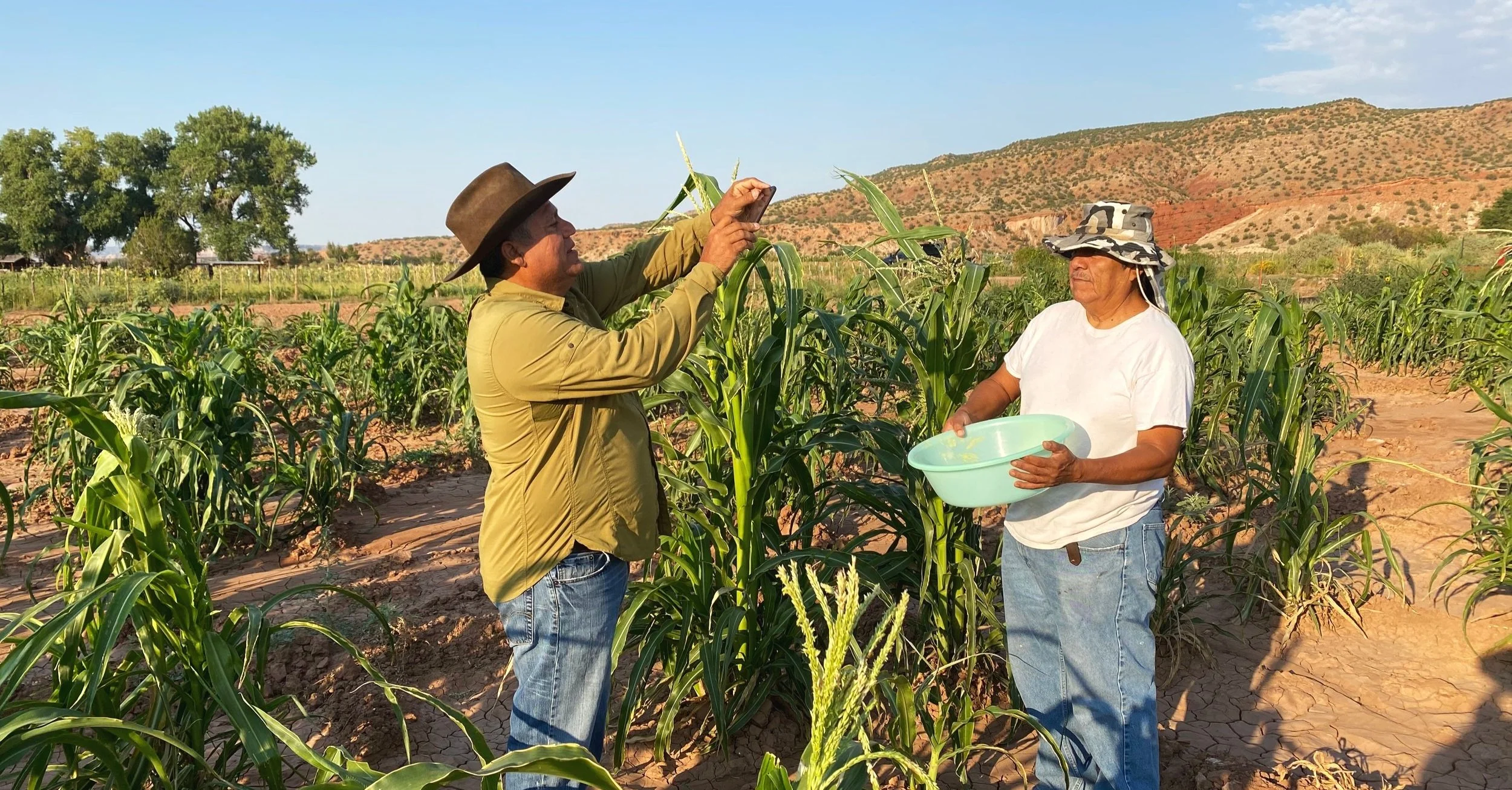 Naturally Native — Flower Hill Institute