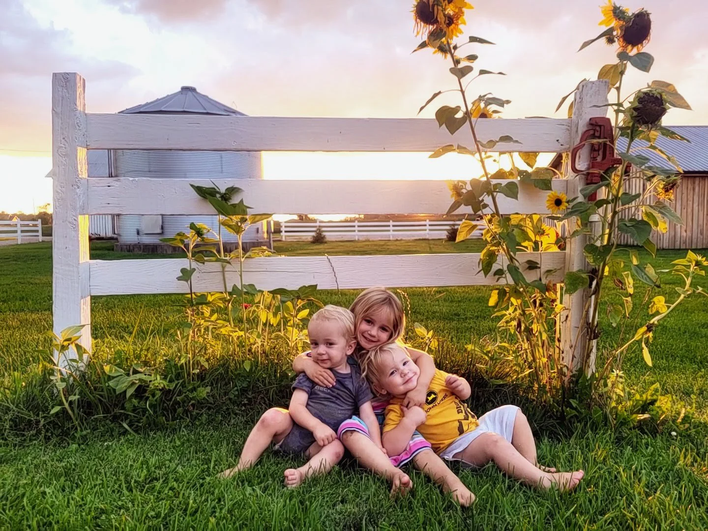 Divine Heritage Barns - Barn Reclamation and Reclaimed Barn Wood ...