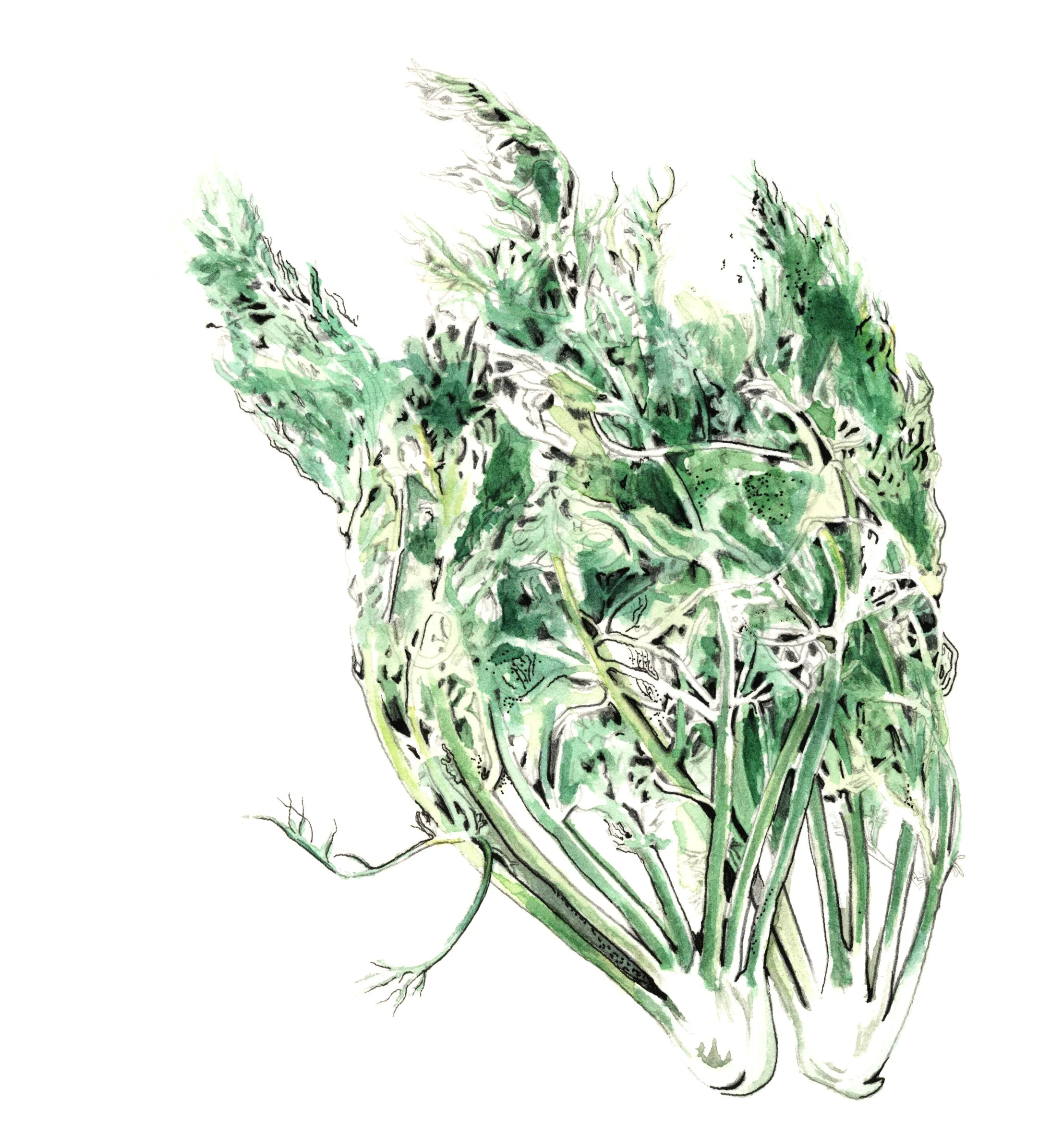 Custom Food and Botanical Illustration