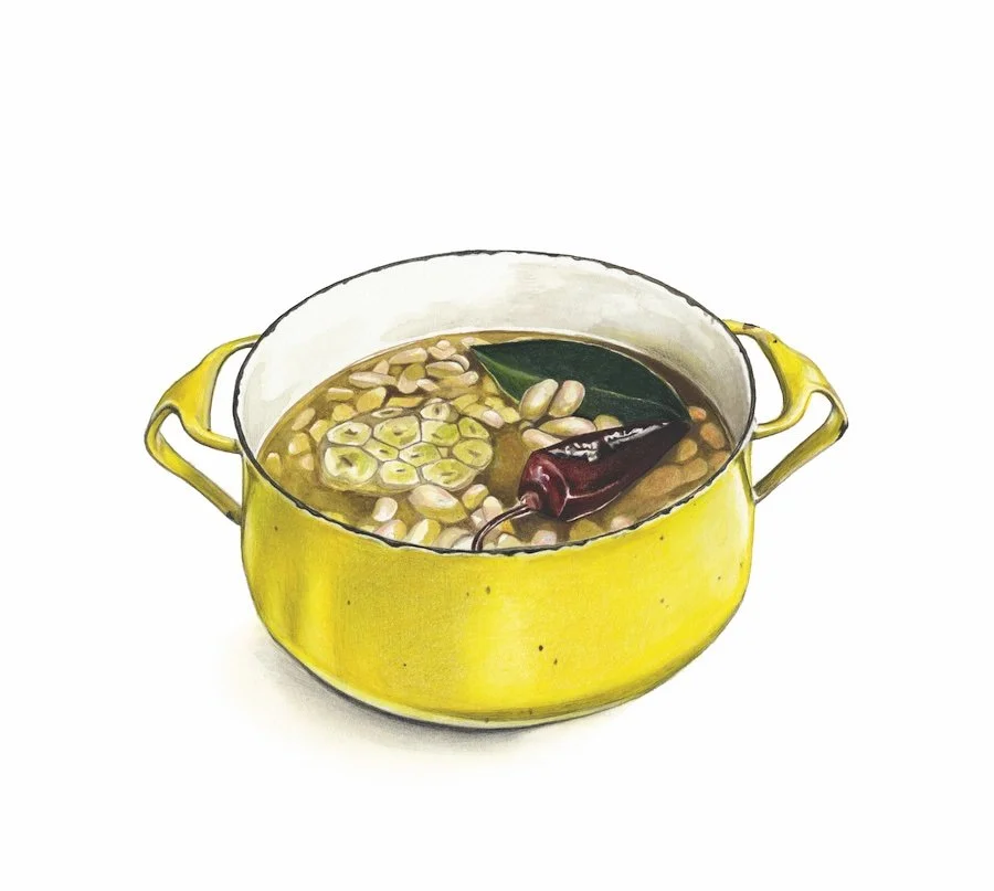 Molly Reeder: Illustrator, Baker, Food Stylist