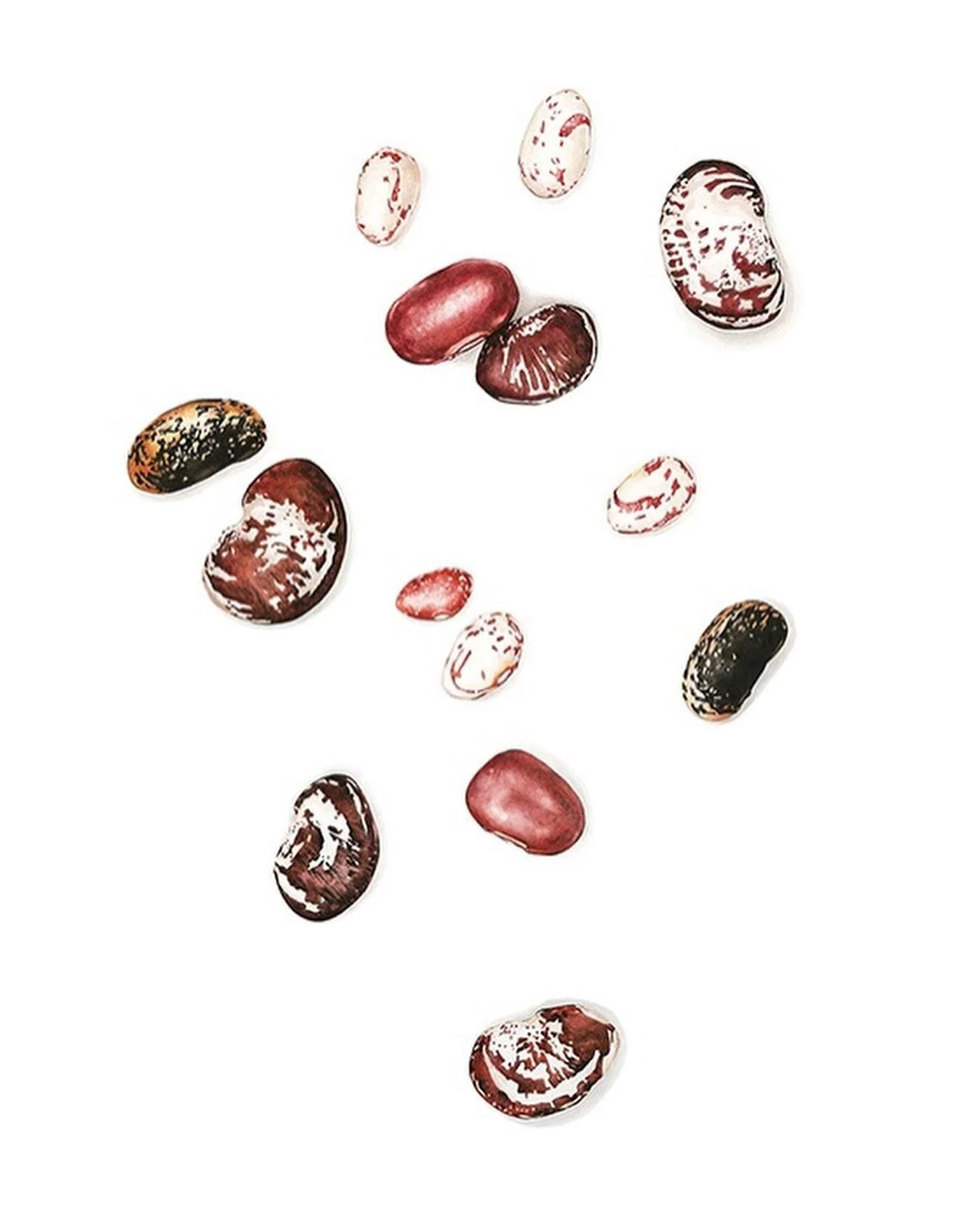 Molly Reeder: Illustrator, Baker, Food Stylist