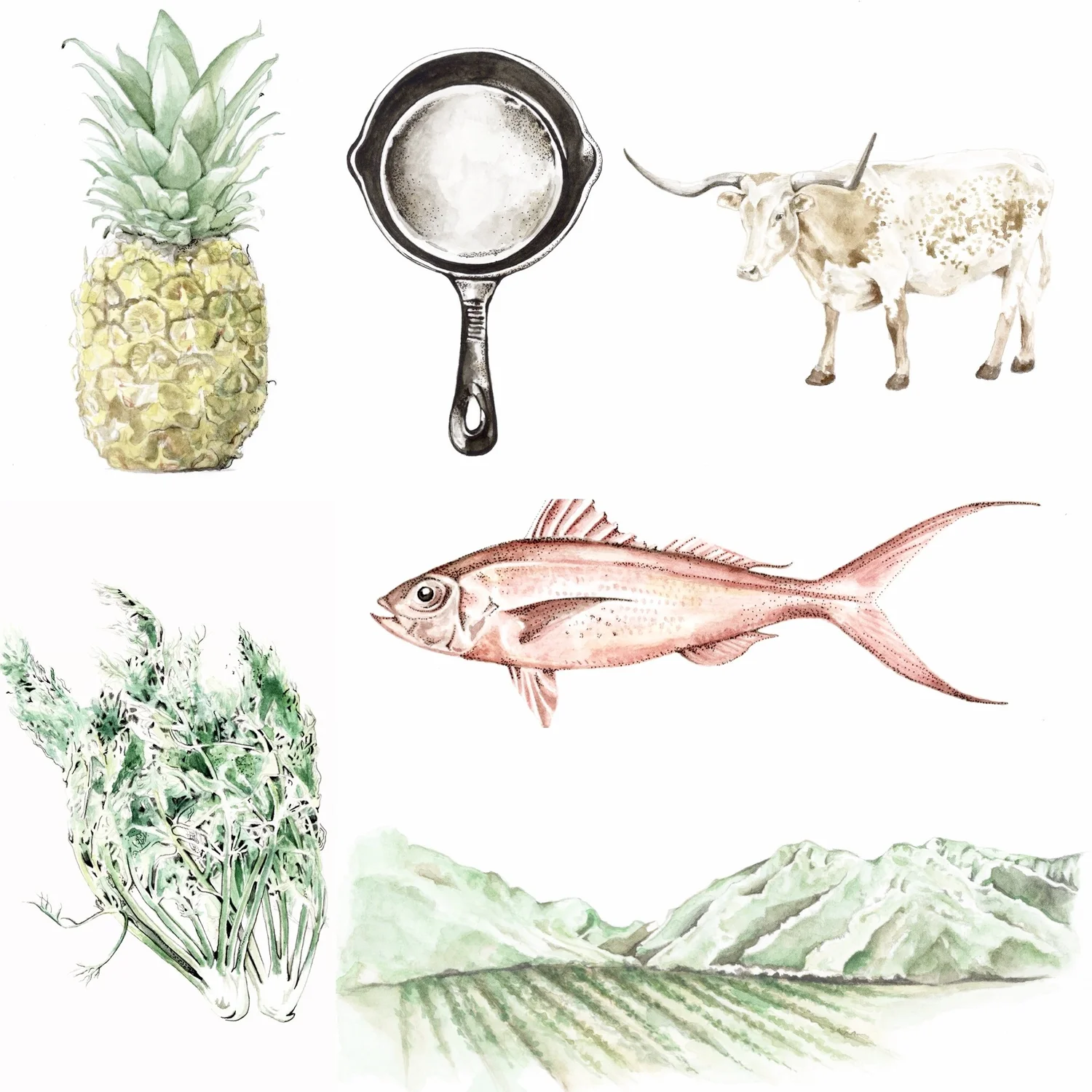 Molly Reeder: Illustrator, Baker, Food Stylist