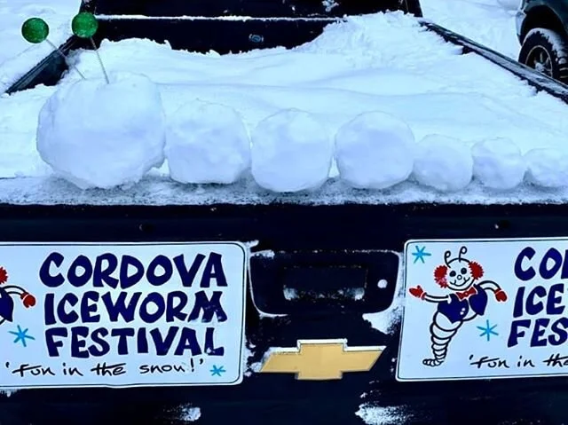 Cordova Iceworm Festival