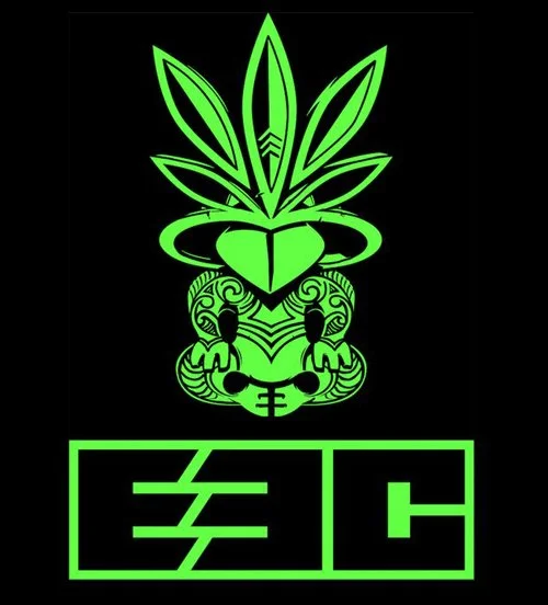 Illicit Custom Design — Illicit Custom