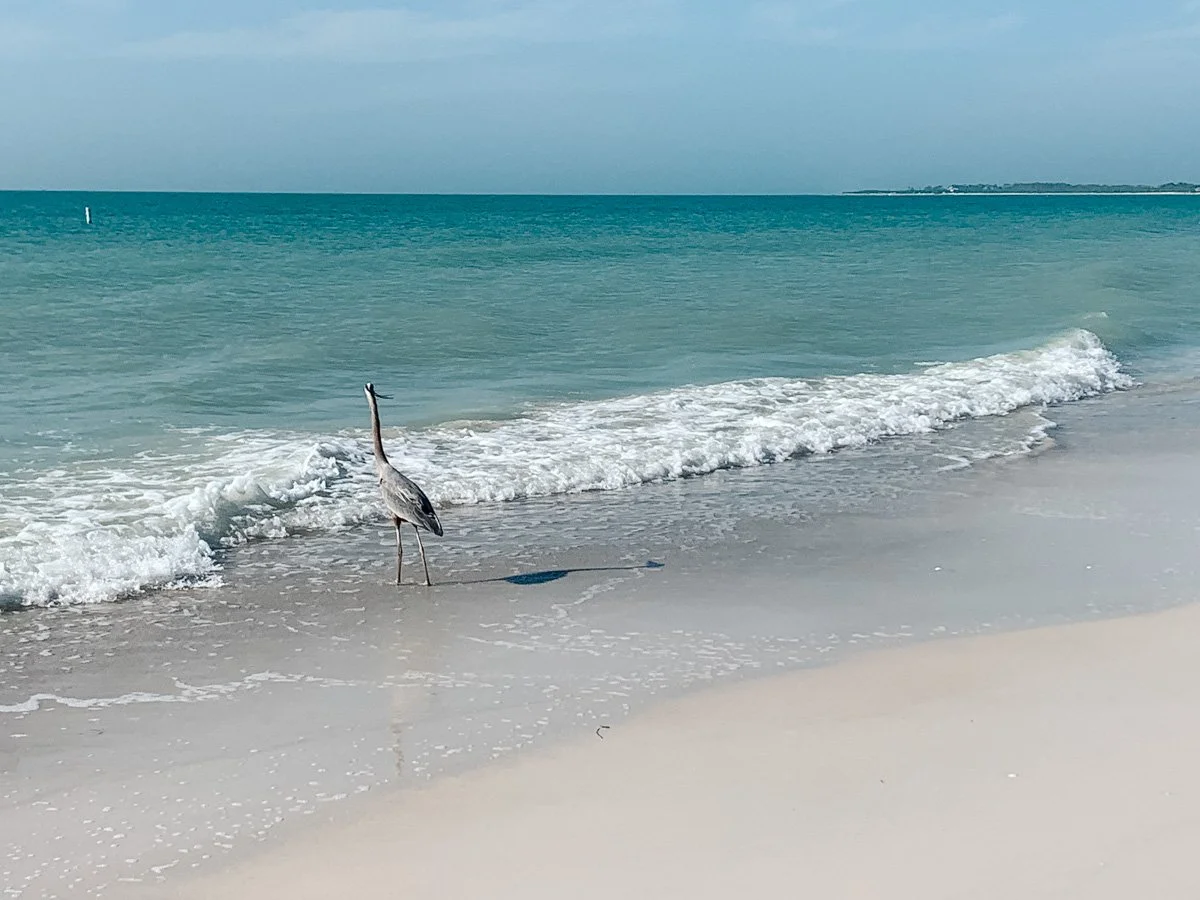 Best beach destinations in February — BRB Travel Blog