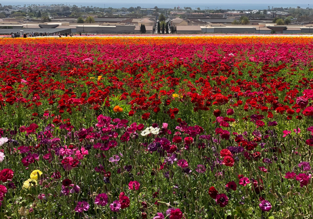 April holiday destinations — BRB Travel Blog