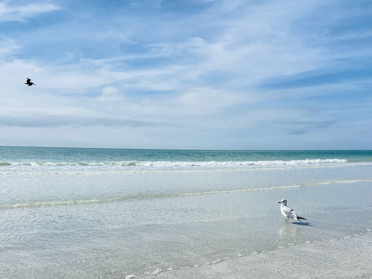 Best beach destinations in February — BRB Travel Blog