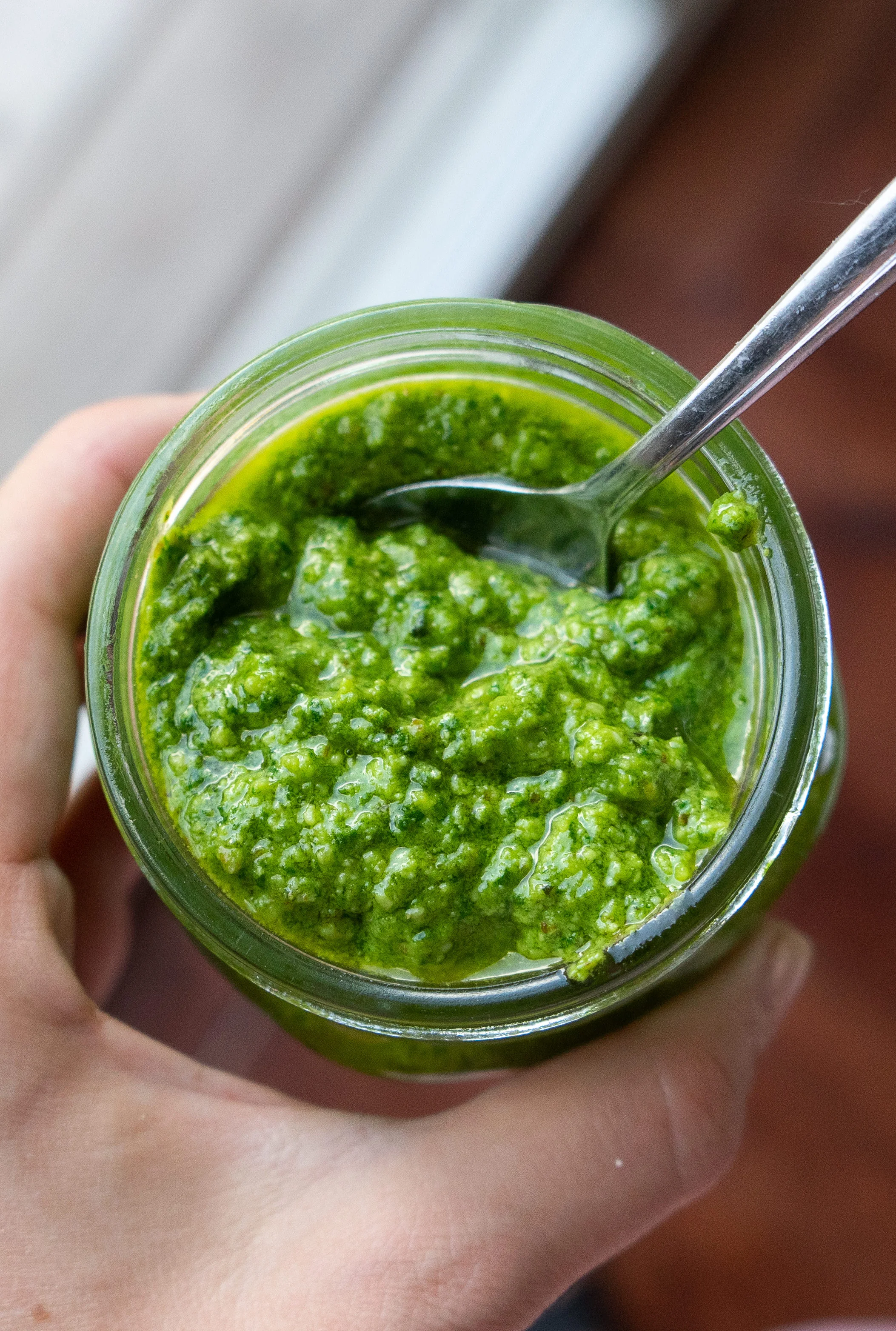 Pesto Sauce - Rezepte Suchen