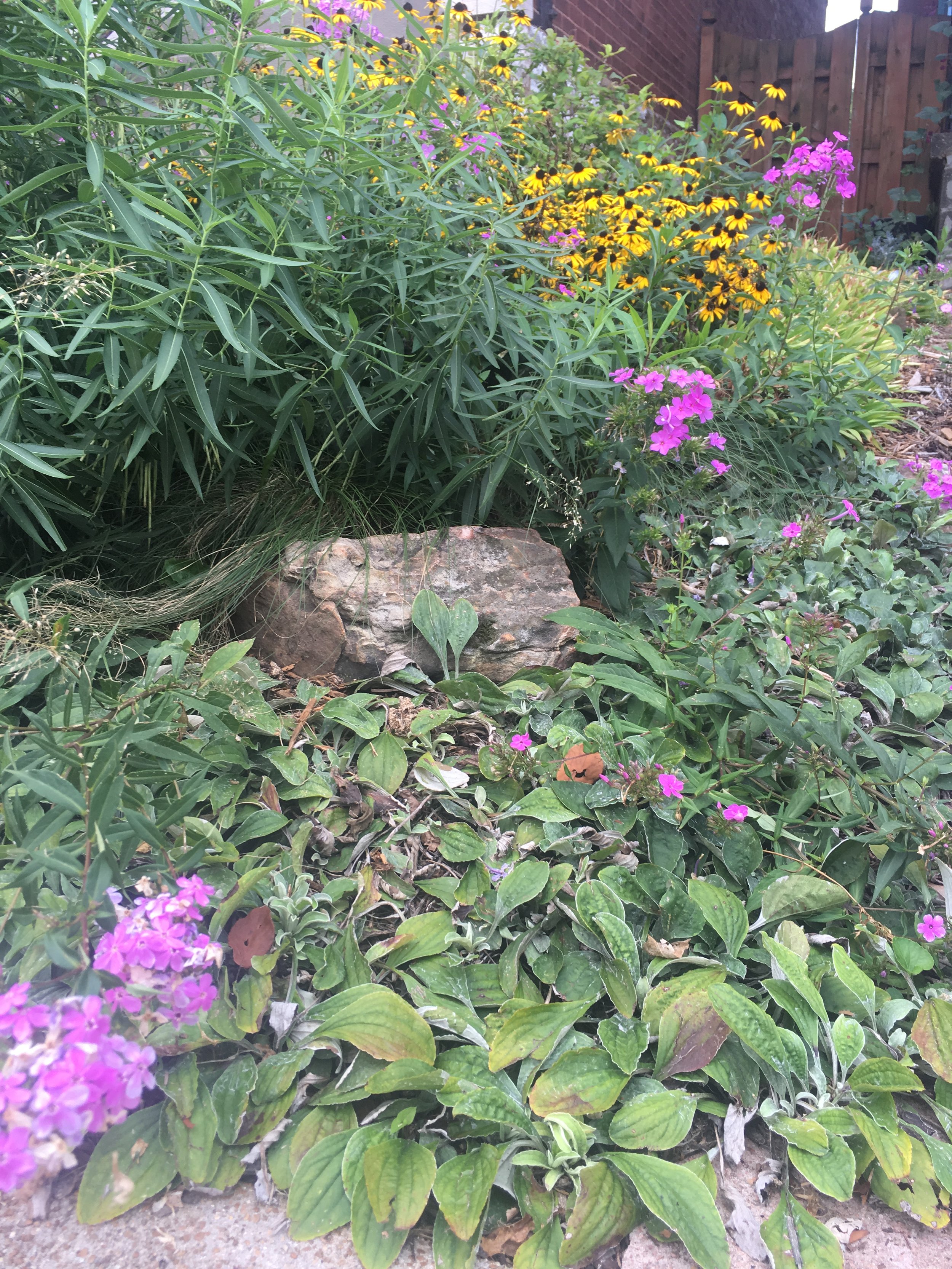 MSD Project Clear Small Grants Portfolio — Pretty City Gardens and ...