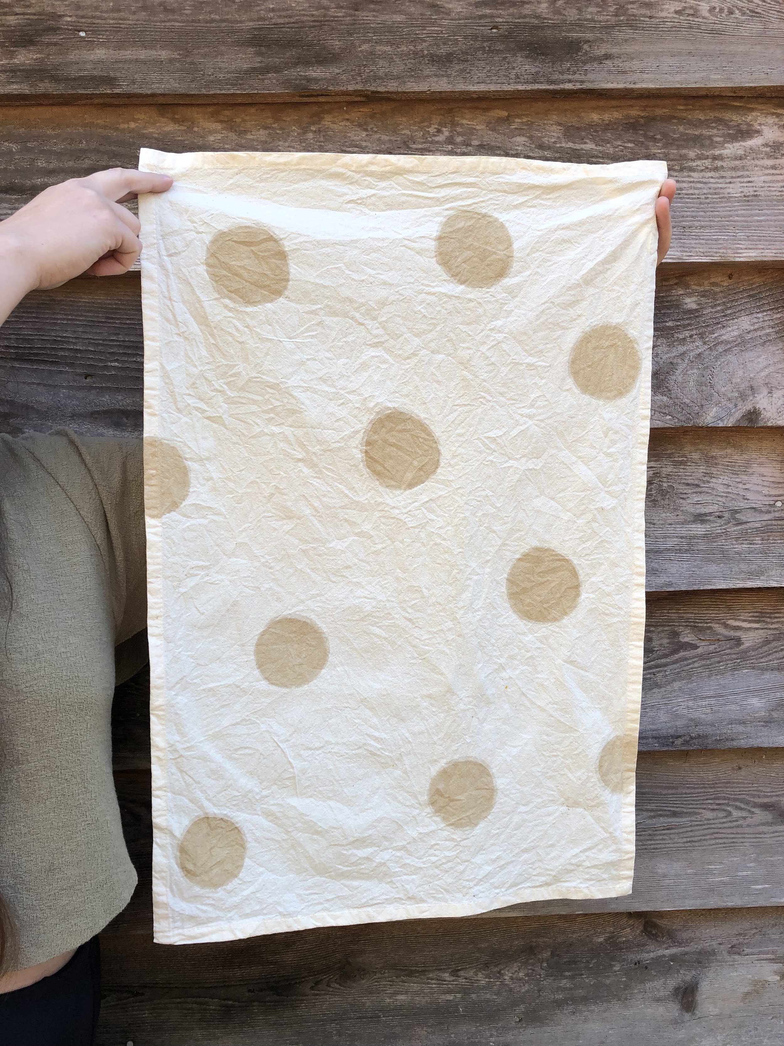 Botanical Soy Milk Paint and Dye Kit — Earth Blooms Flower Farm