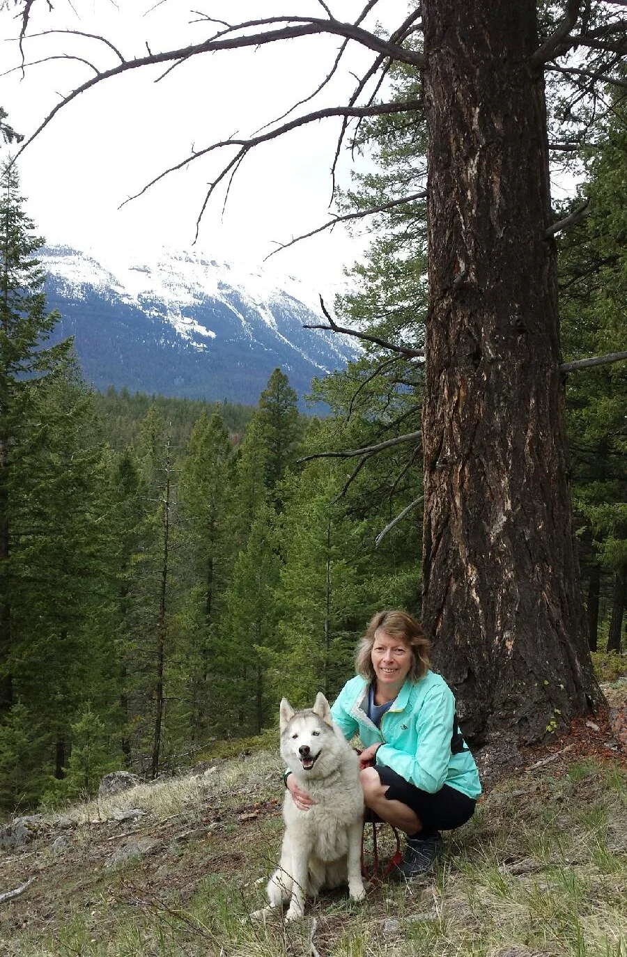 MEET OUR TEAM — Jasper & Valemount Veterinary Clinic