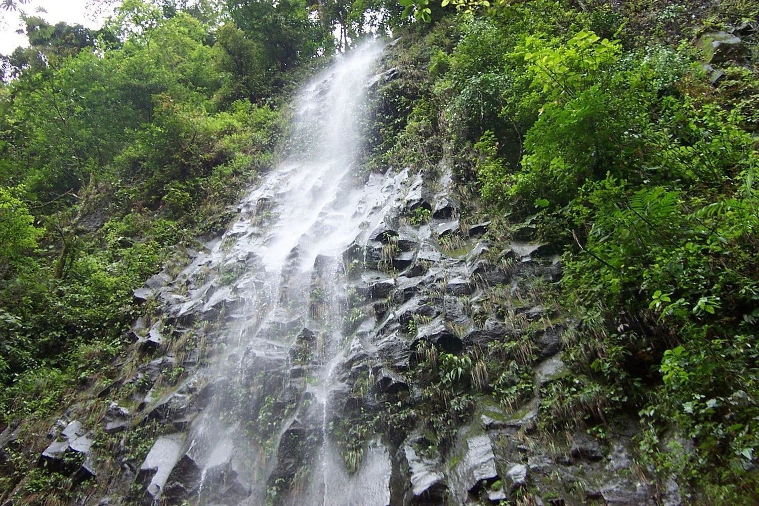 Costa Rica Adventure — Travel One, Inc.: Your Gateway to Unforgettable ...