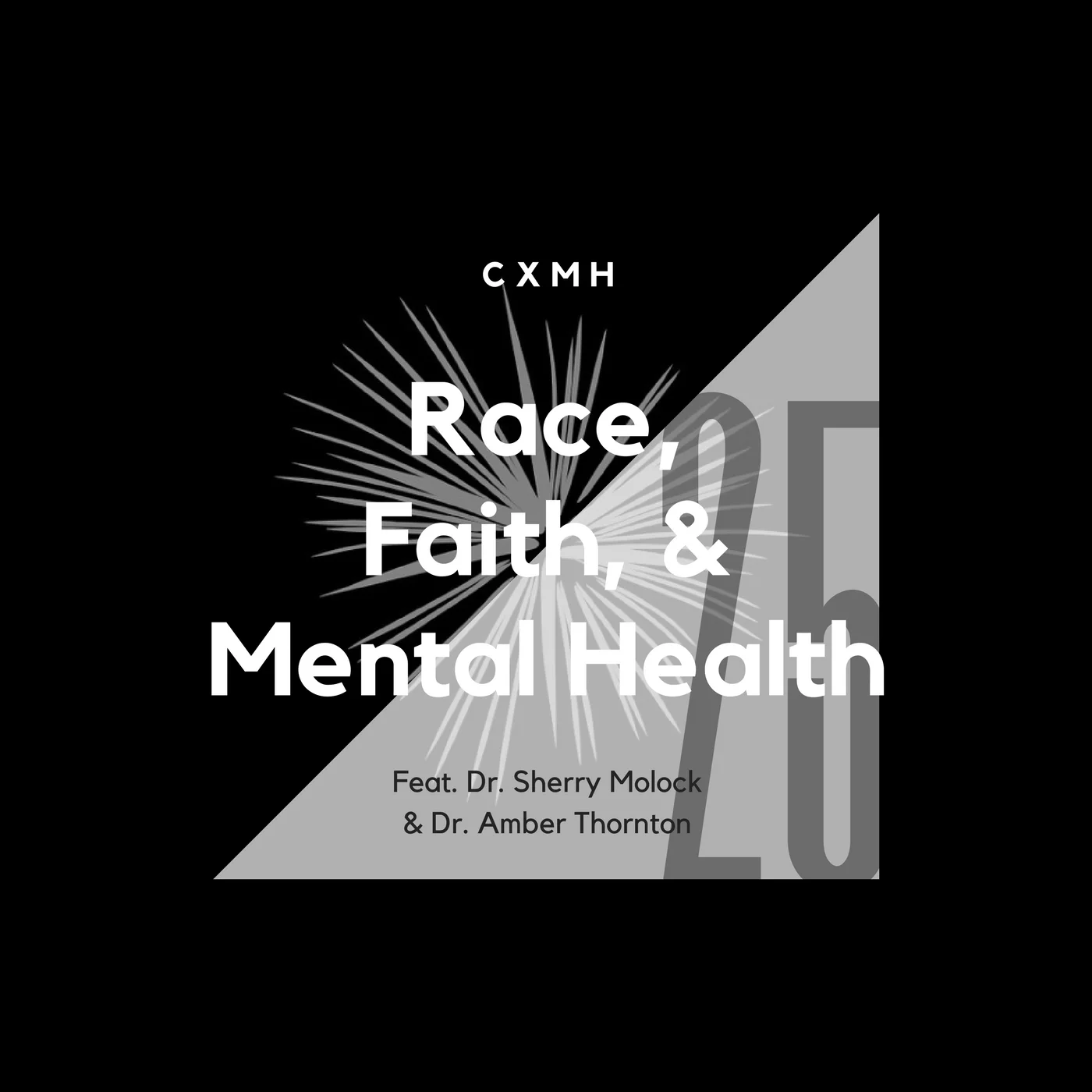 25 - Race, Faith, & Mental Health (feat. Dr. Sherry Molock & Dr. Amber ...
