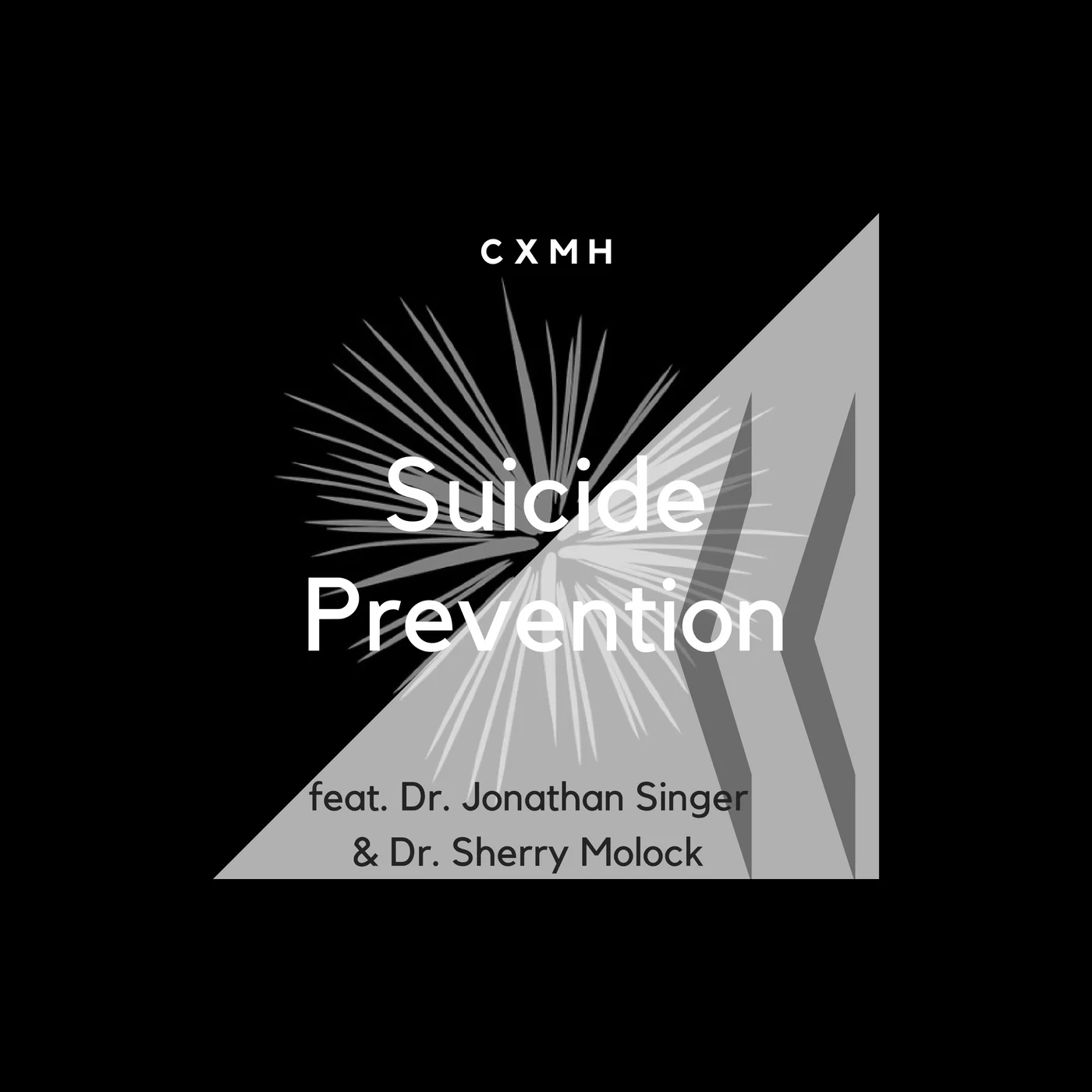 Recast - Suicide Prevention (feat. Dr. Jonathan Singer & Dr. Sherry ...