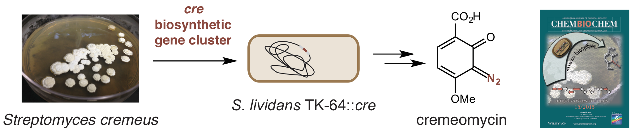 Publications / 2006 – 2018 — Balskus Lab
