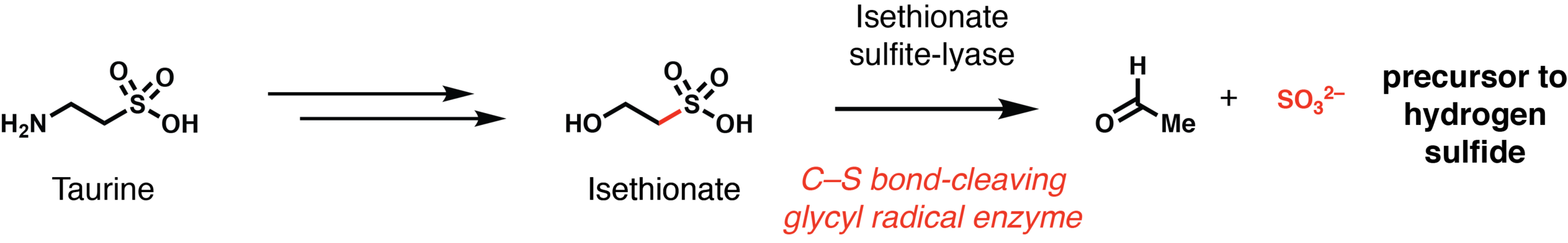 Publications / 2019 – Present — Balskus Lab