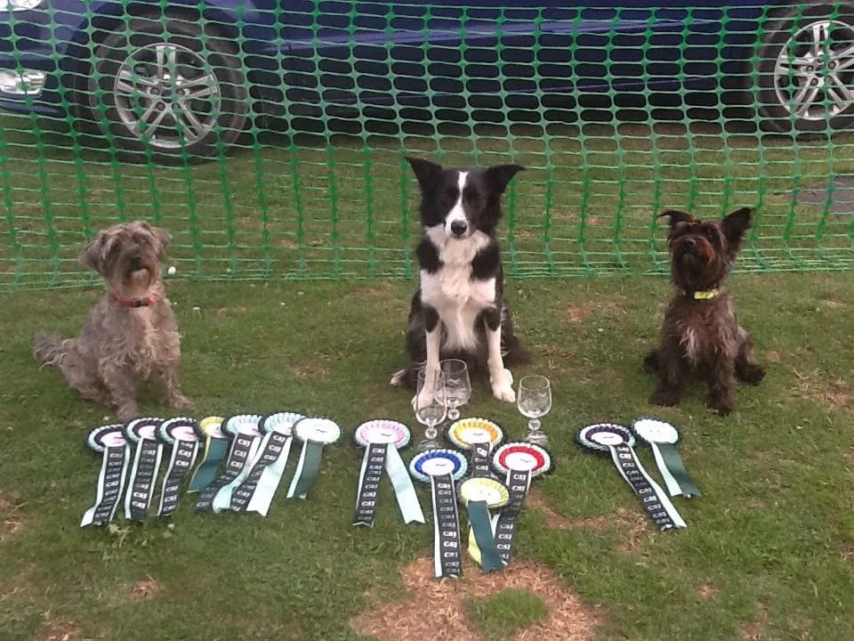 ABOUT — Black & White Dog Training and Behaviour