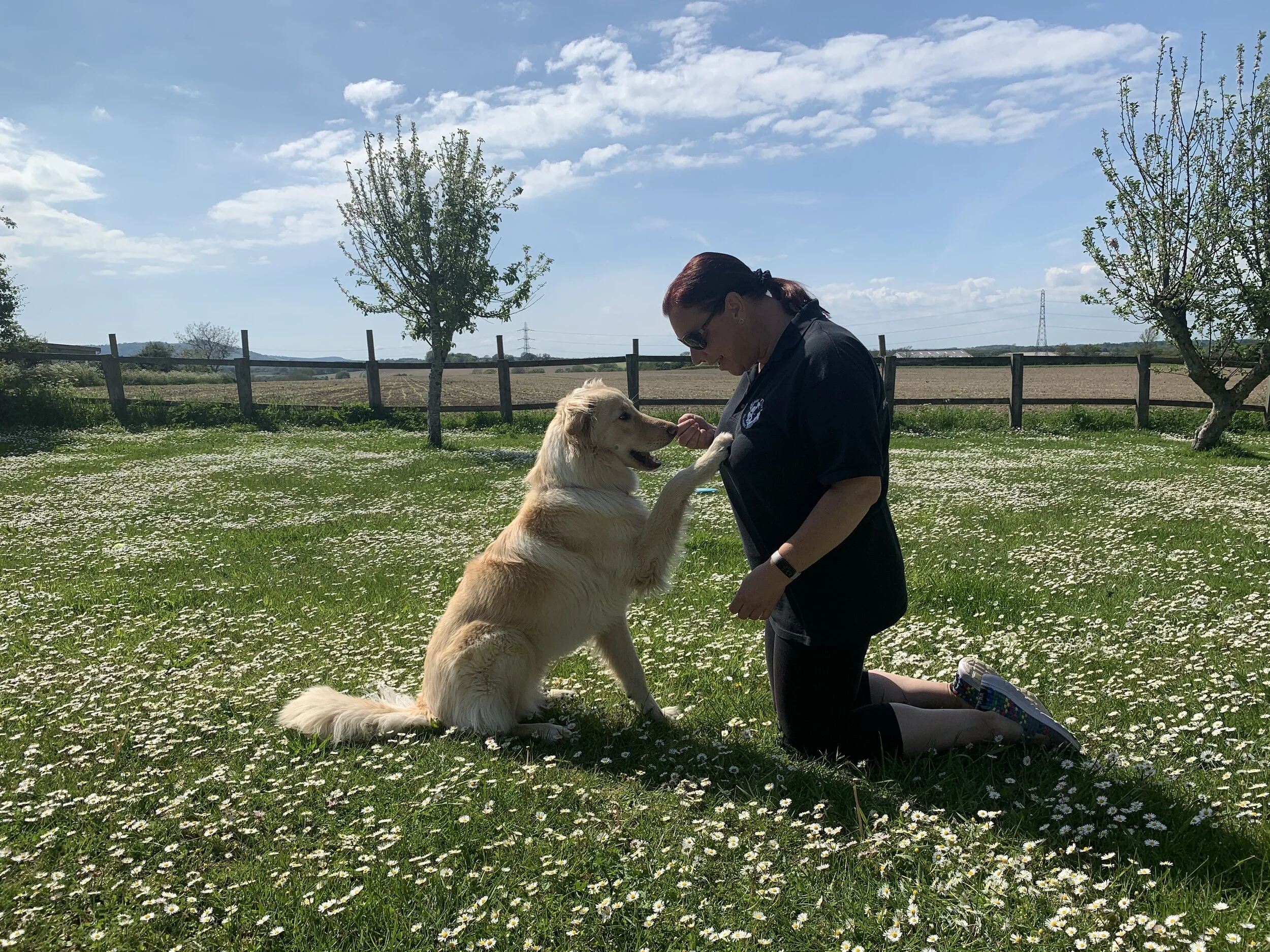ABOUT — Black & White Dog Training and Behaviour