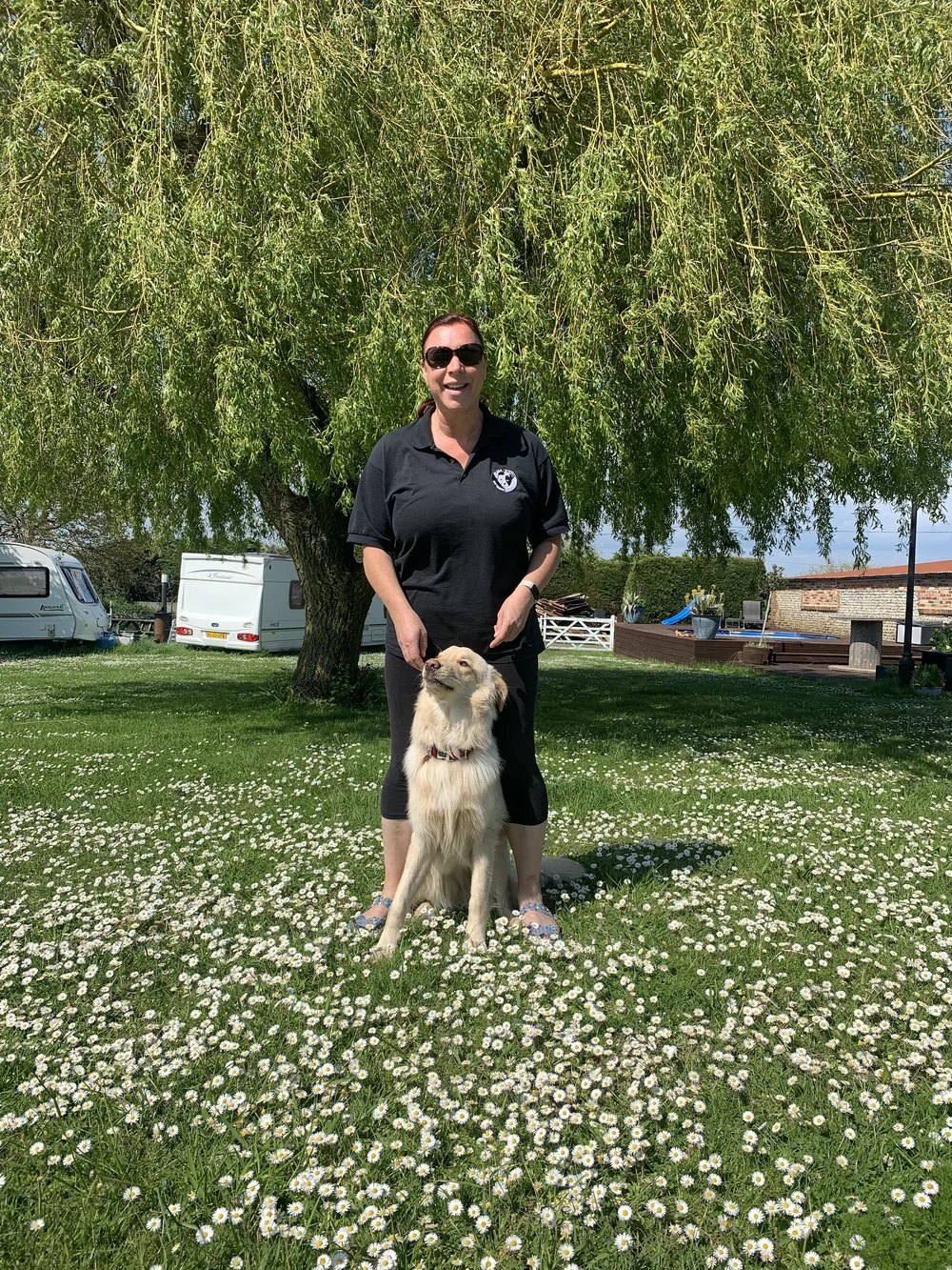 Black and White Dog Training and Behaviour