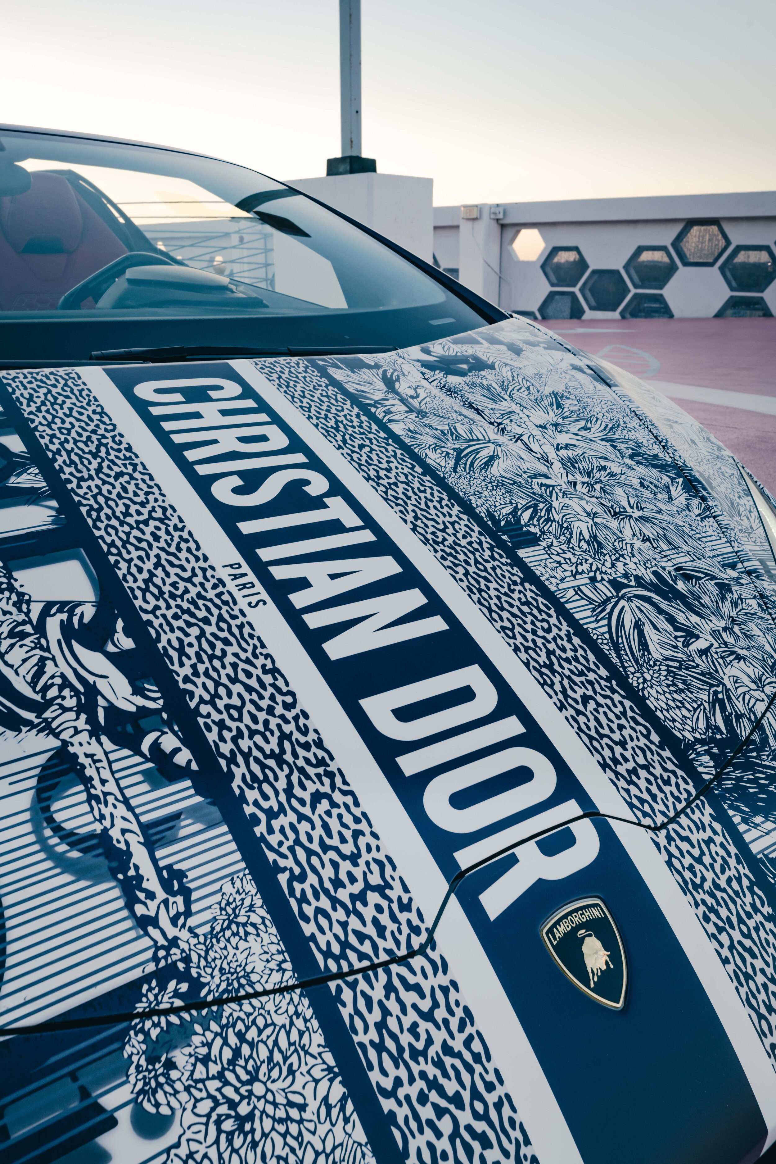 Wear Dior or Drive Dior? Both! — Metro Group Miami